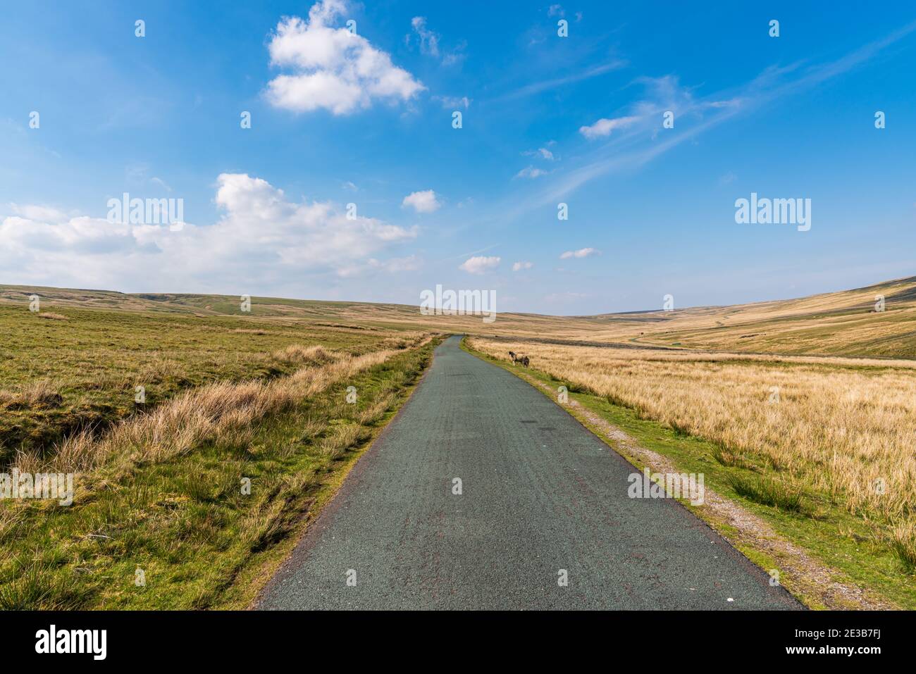 West stonesdale yorkshire dales hi-res stock photography and images - Alamy