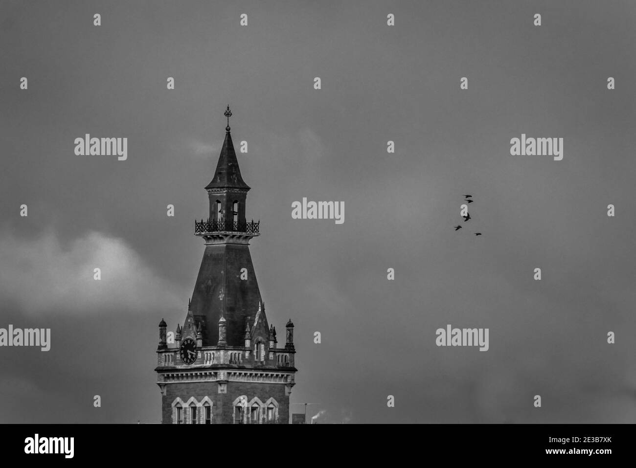 Clock Tower, birds in flight Stock Photo - Alamy