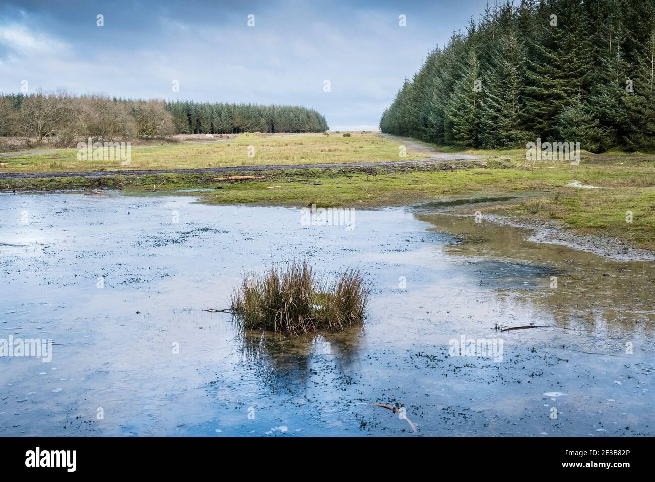 An old dispersal road on the disused WW2 RAF Davidstow Airfield on ...