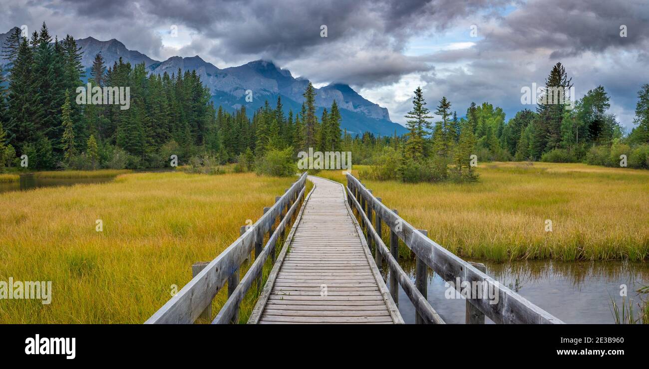 Boardwalk along the river hi-res stock photography and images - Alamy