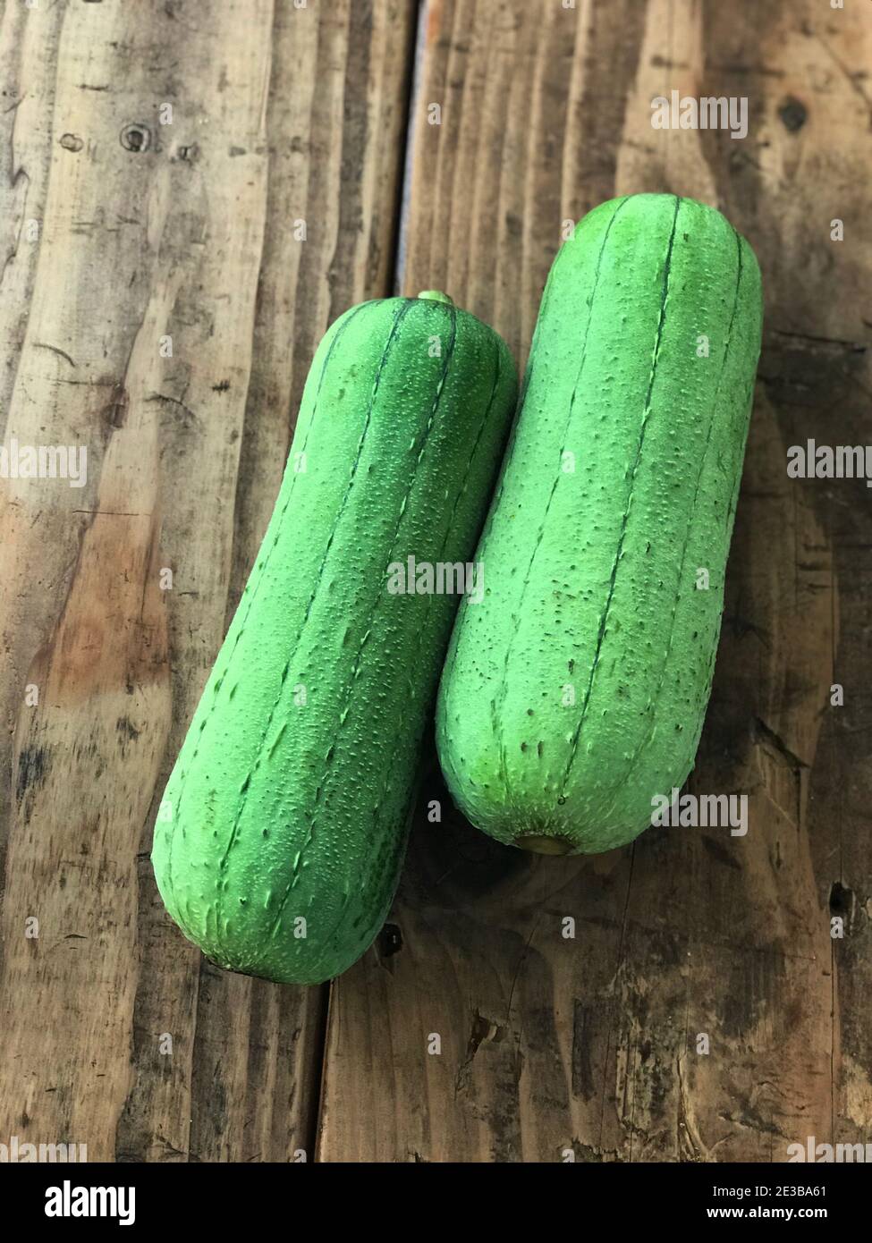 Sponge gourd hi-res stock photography and images - Alamy