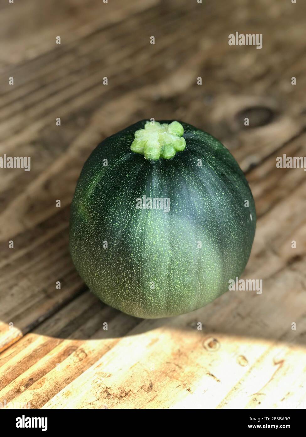 Round zucchini hi-res stock photography and images - Alamy