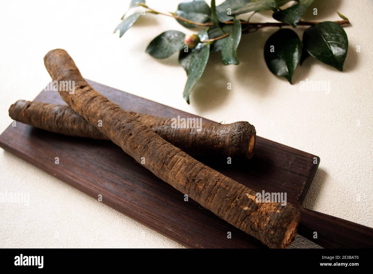 Burdock in Yamaguchi Prefecture, Japan Stock Photo - Alamy