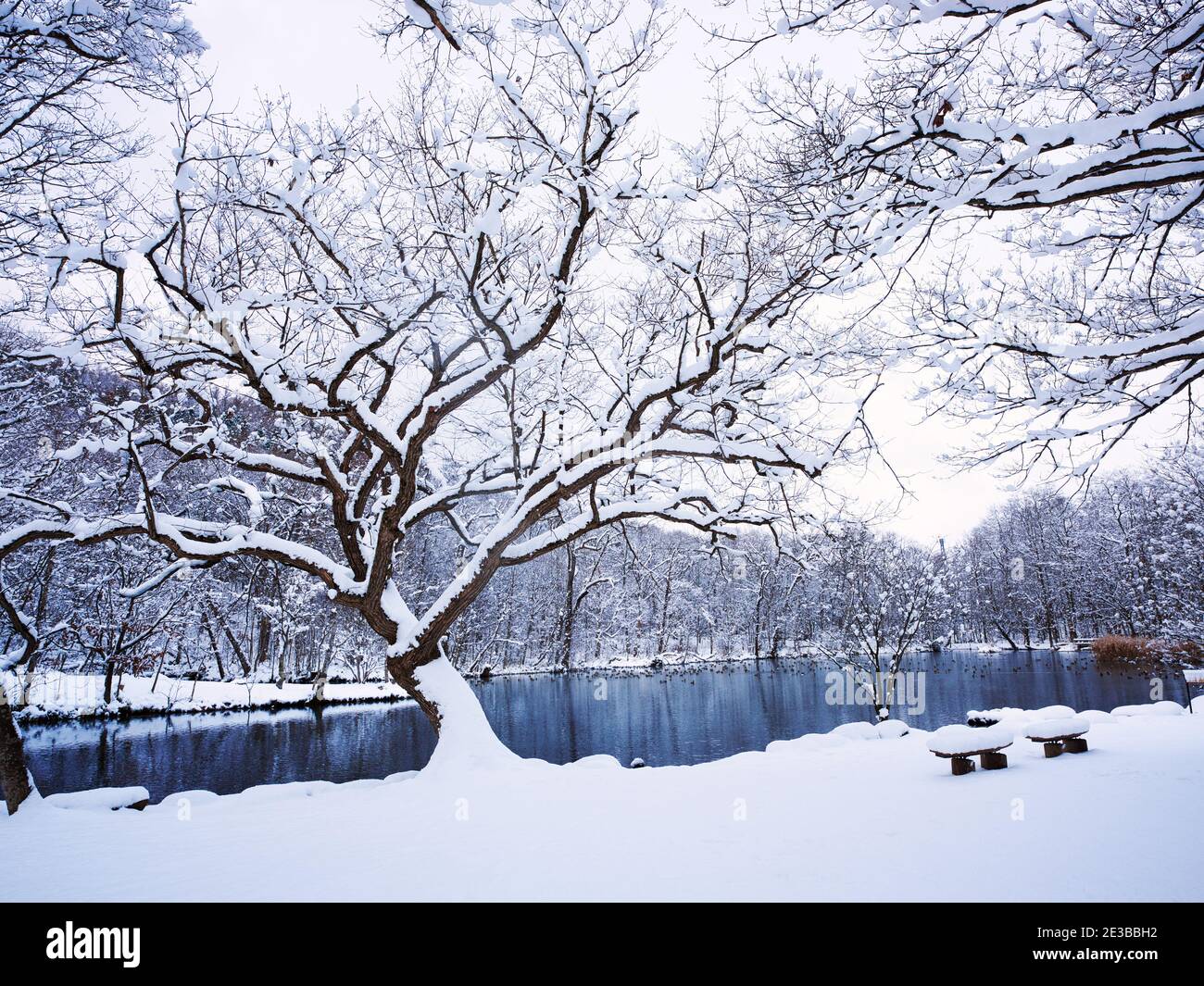 Sorachi hokkaido hi-res stock photography and images - Alamy