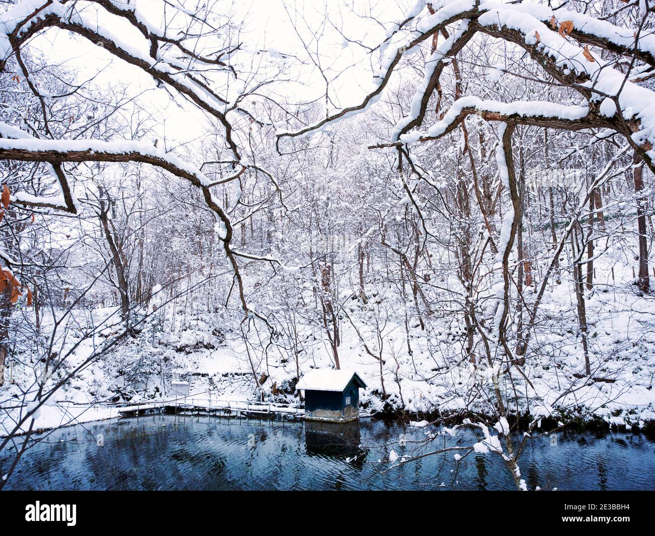 Sorachi hokkaido hi-res stock photography and images - Alamy