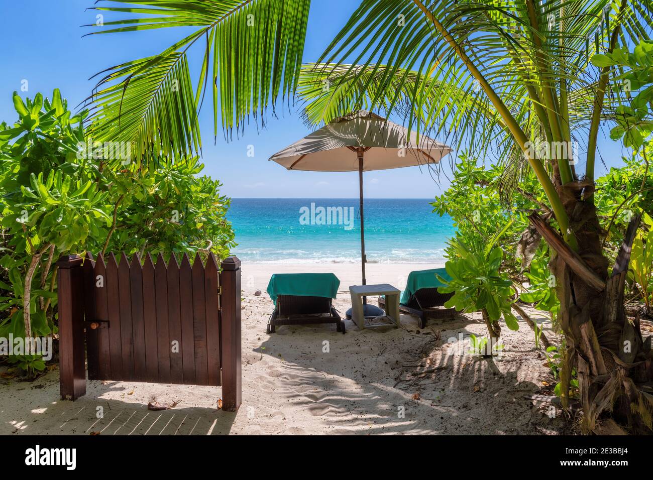 Sunny tropical beach with umbrella and deckchairs and palm trees in ...