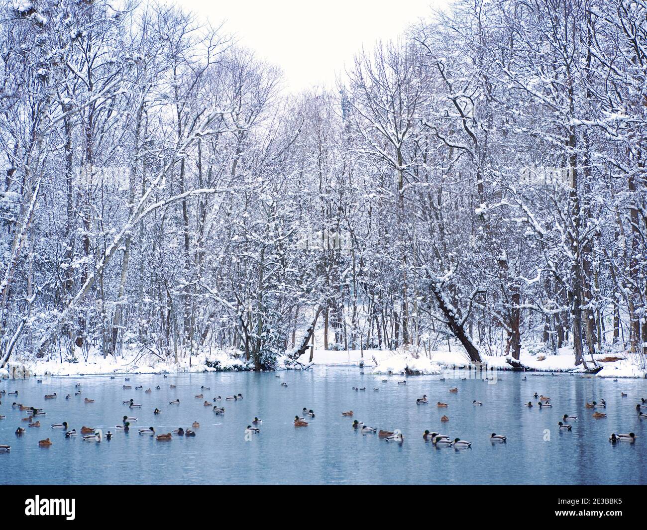 Sorachi hokkaido hi-res stock photography and images - Alamy