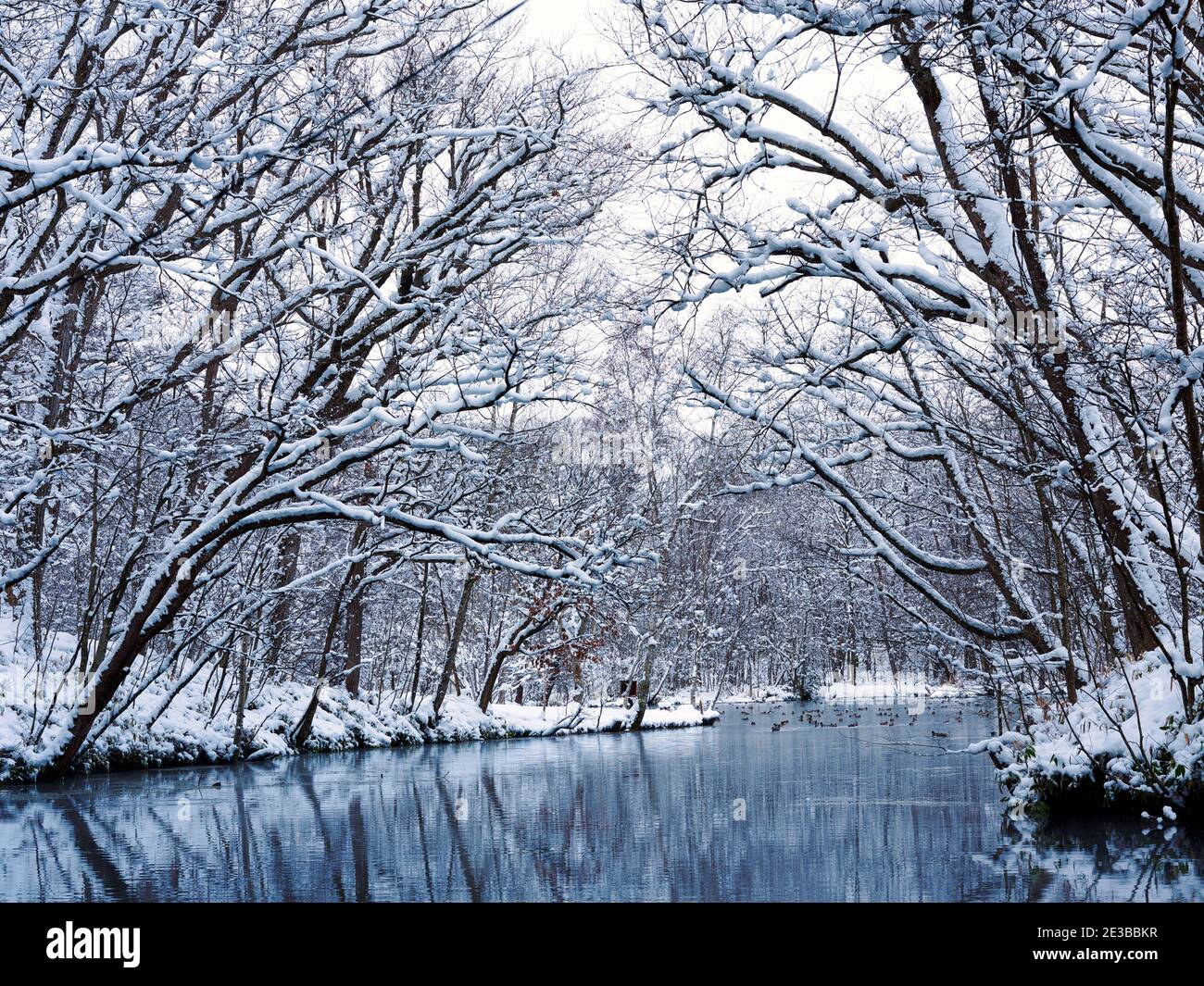 Sorachi hokkaido hi-res stock photography and images - Alamy