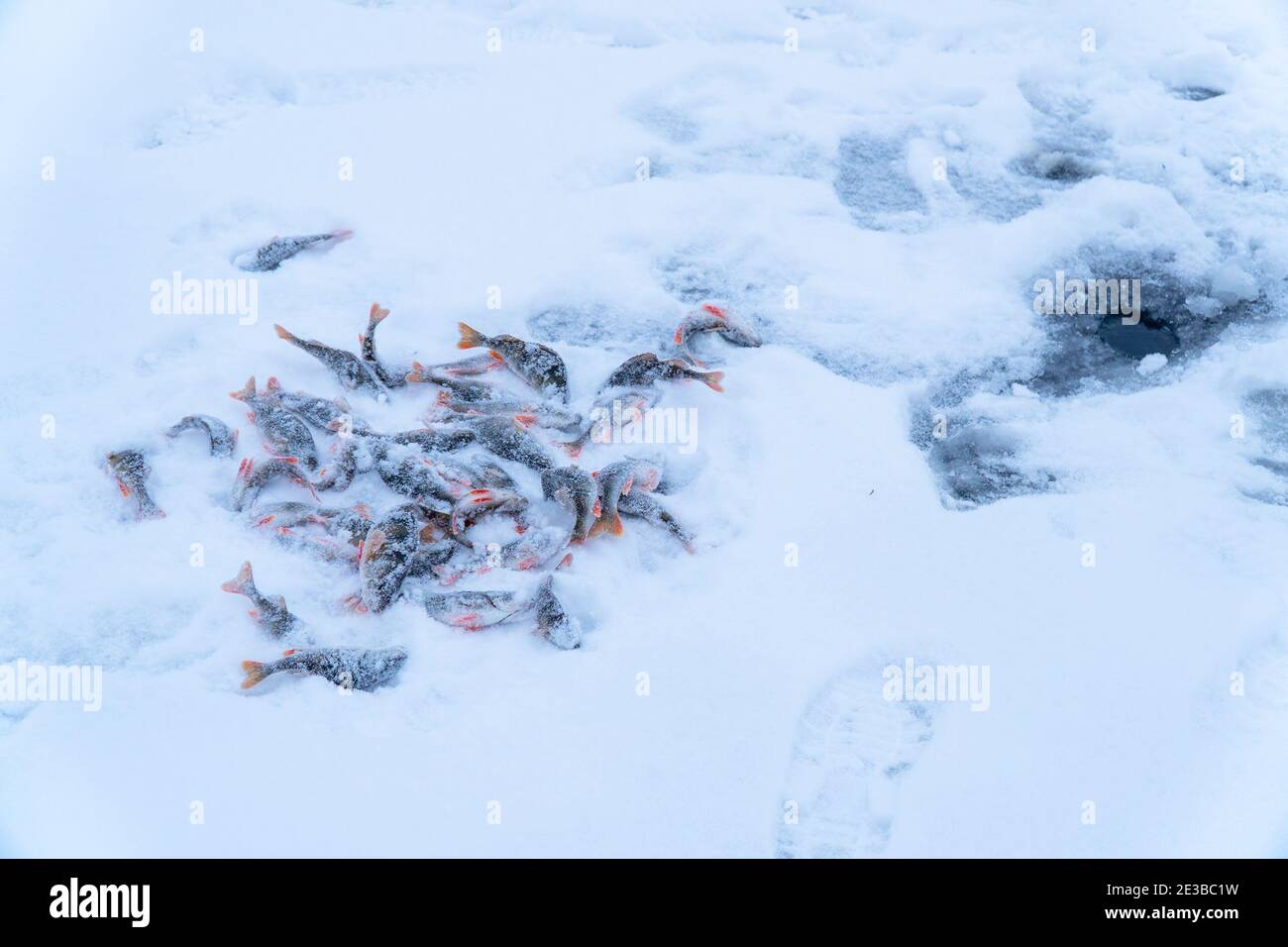 Winterfishing hi-res stock photography and images - Alamy