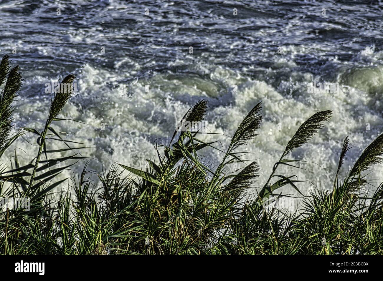 Example of depth of field Stock Photo - Alamy