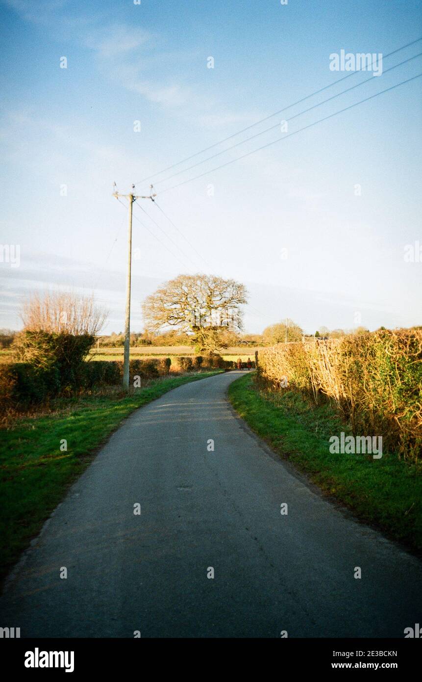 Stancombe hi-res stock photography and images - Alamy