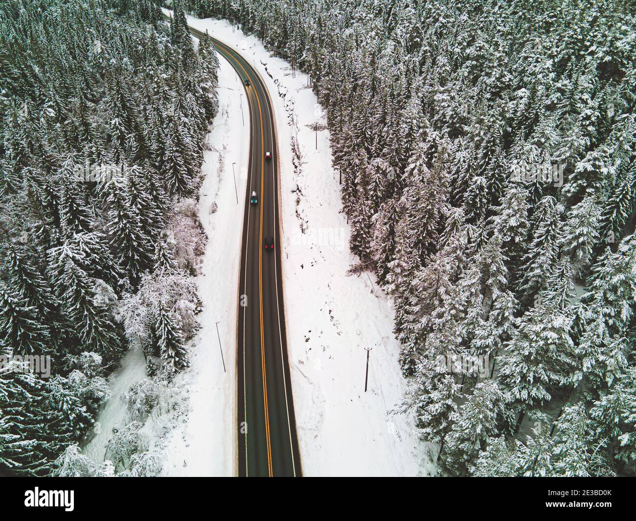 Highway running through a pine forest covered in snow in winter Stock ...