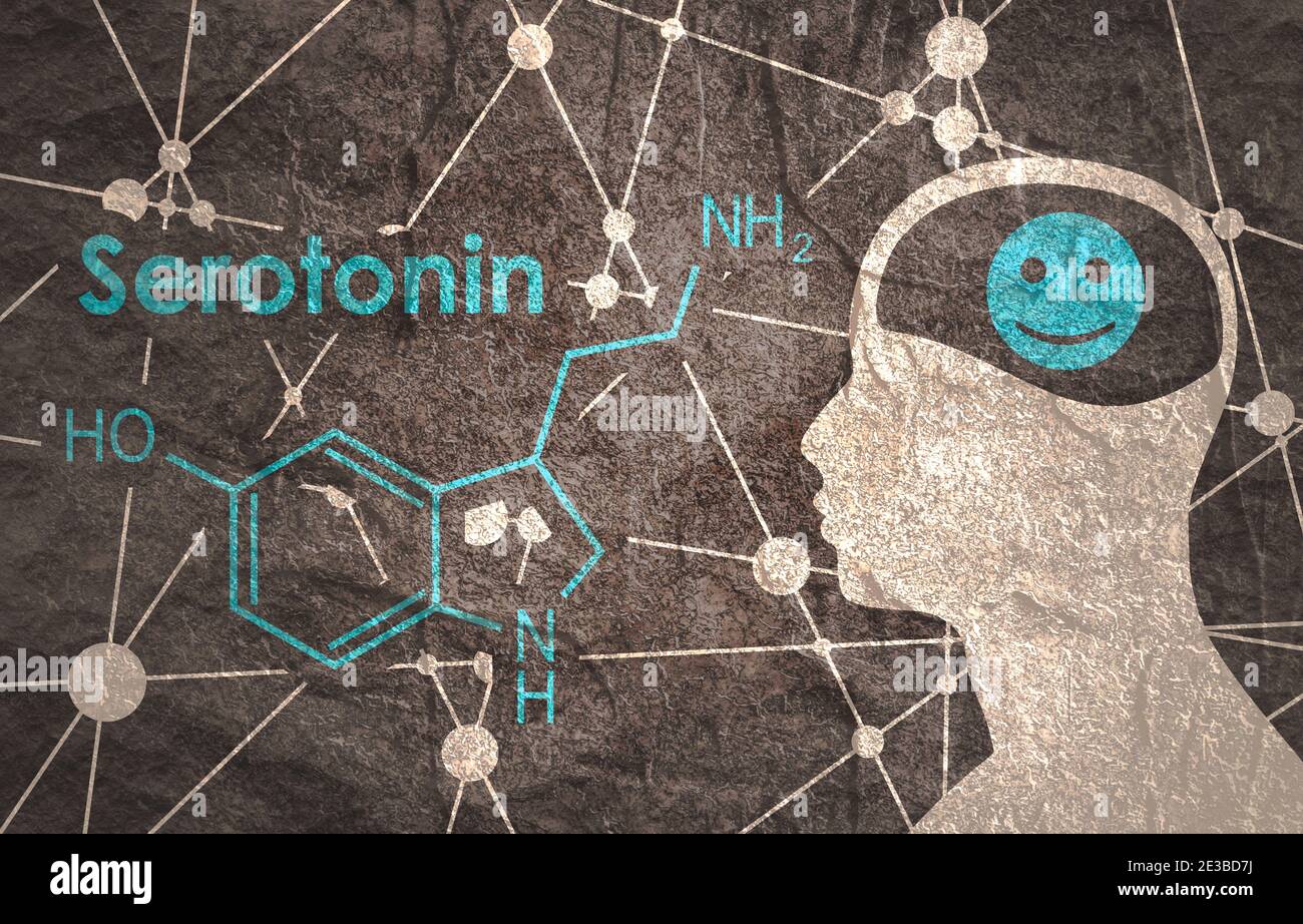 Chemical molecular formula hormone serotonin. Silhouette of a man head ...