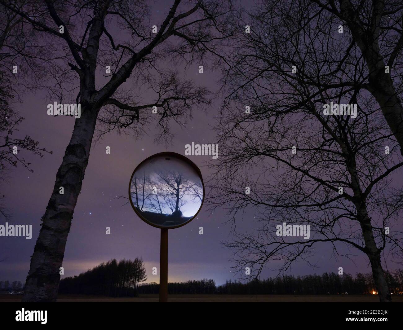 Road Lined With Trees at Night Stock Photo - Alamy