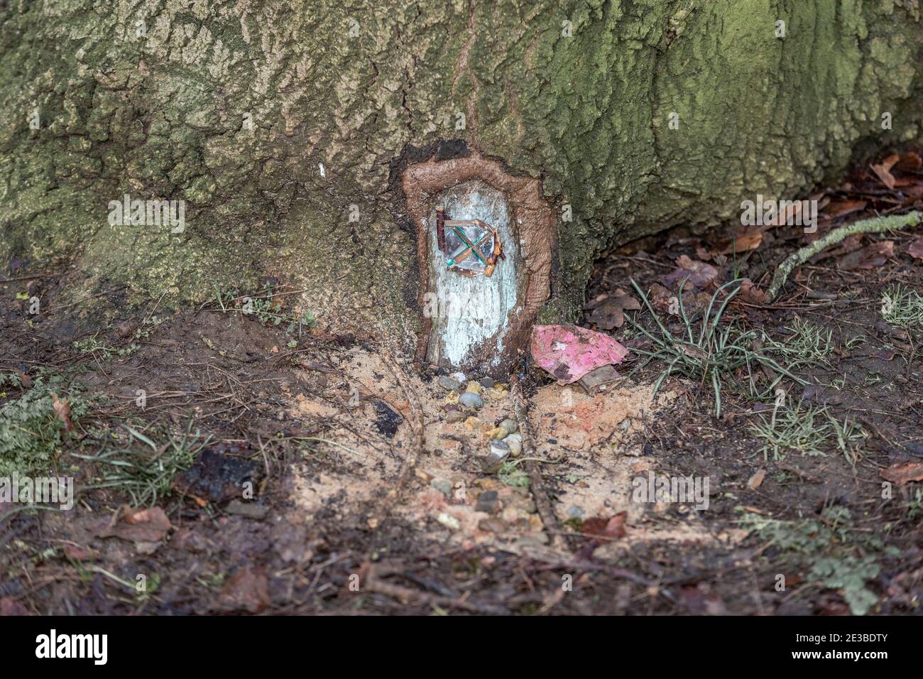 Unrealistic creation hi-res stock photography and images - Alamy