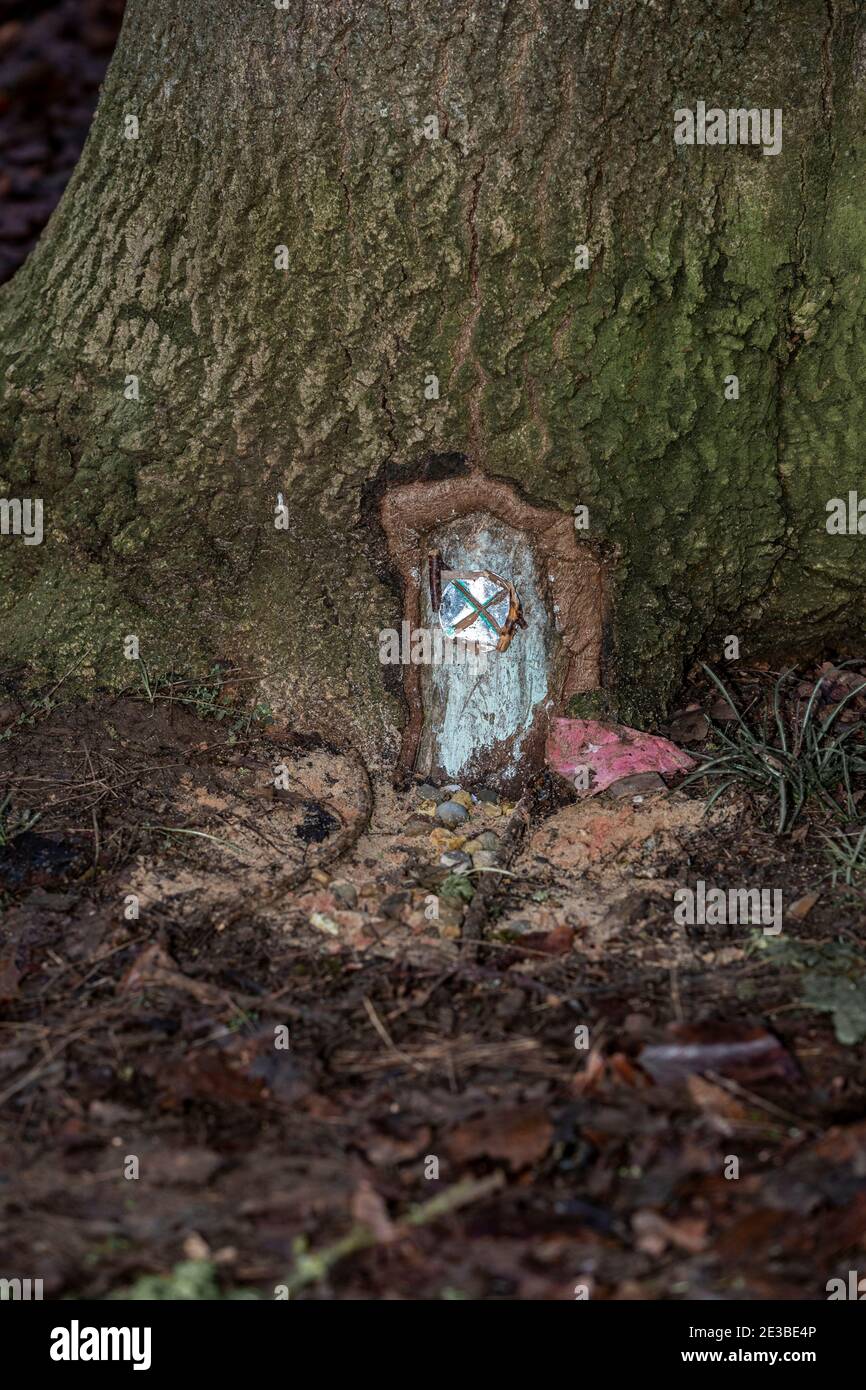 Unrealistic creation hi-res stock photography and images - Alamy