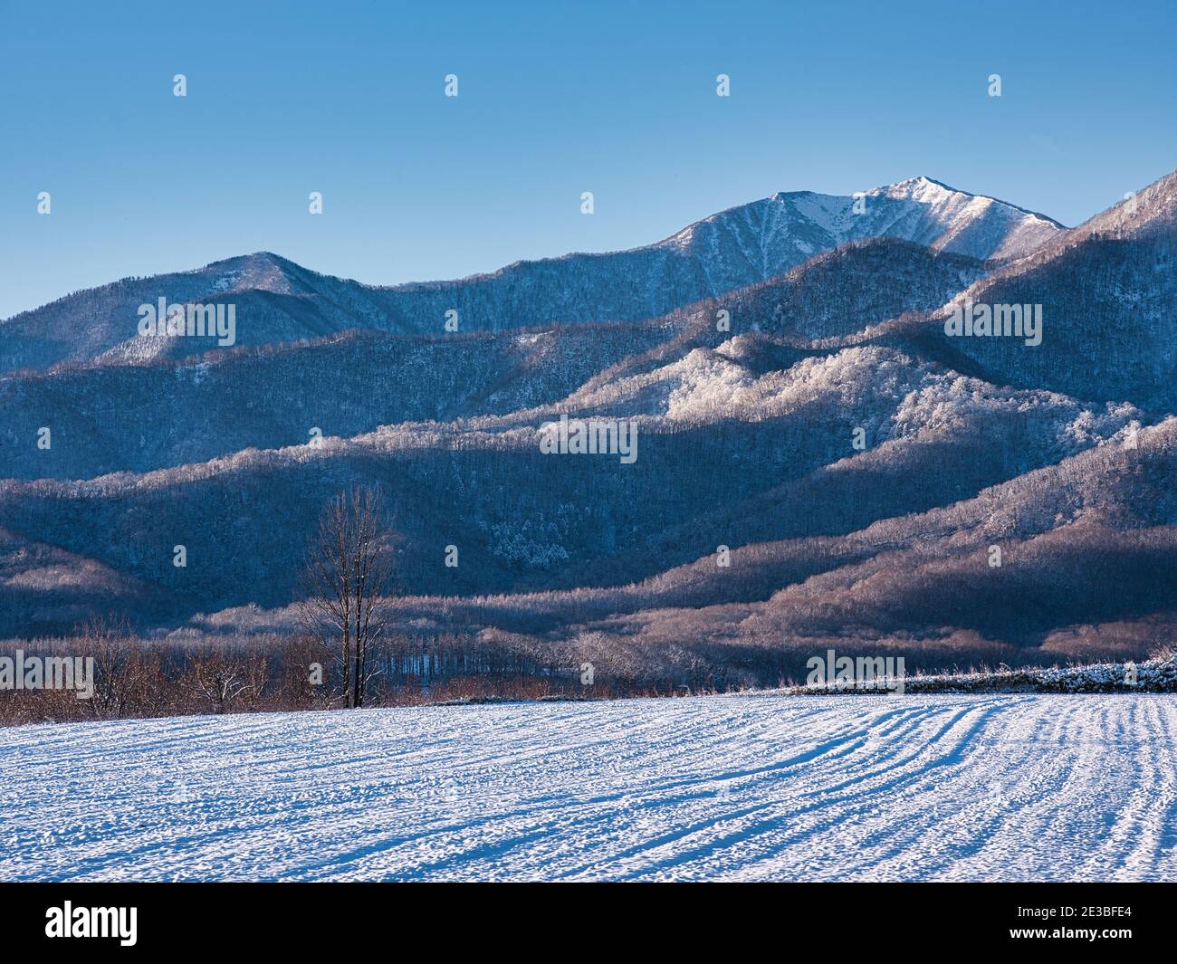 Tokachi plain hi-res stock photography and images - Alamy