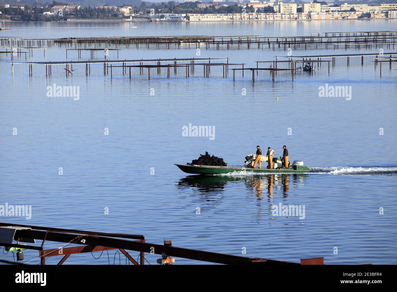 Sete oyster farming france hi-res stock photography and images - Alamy