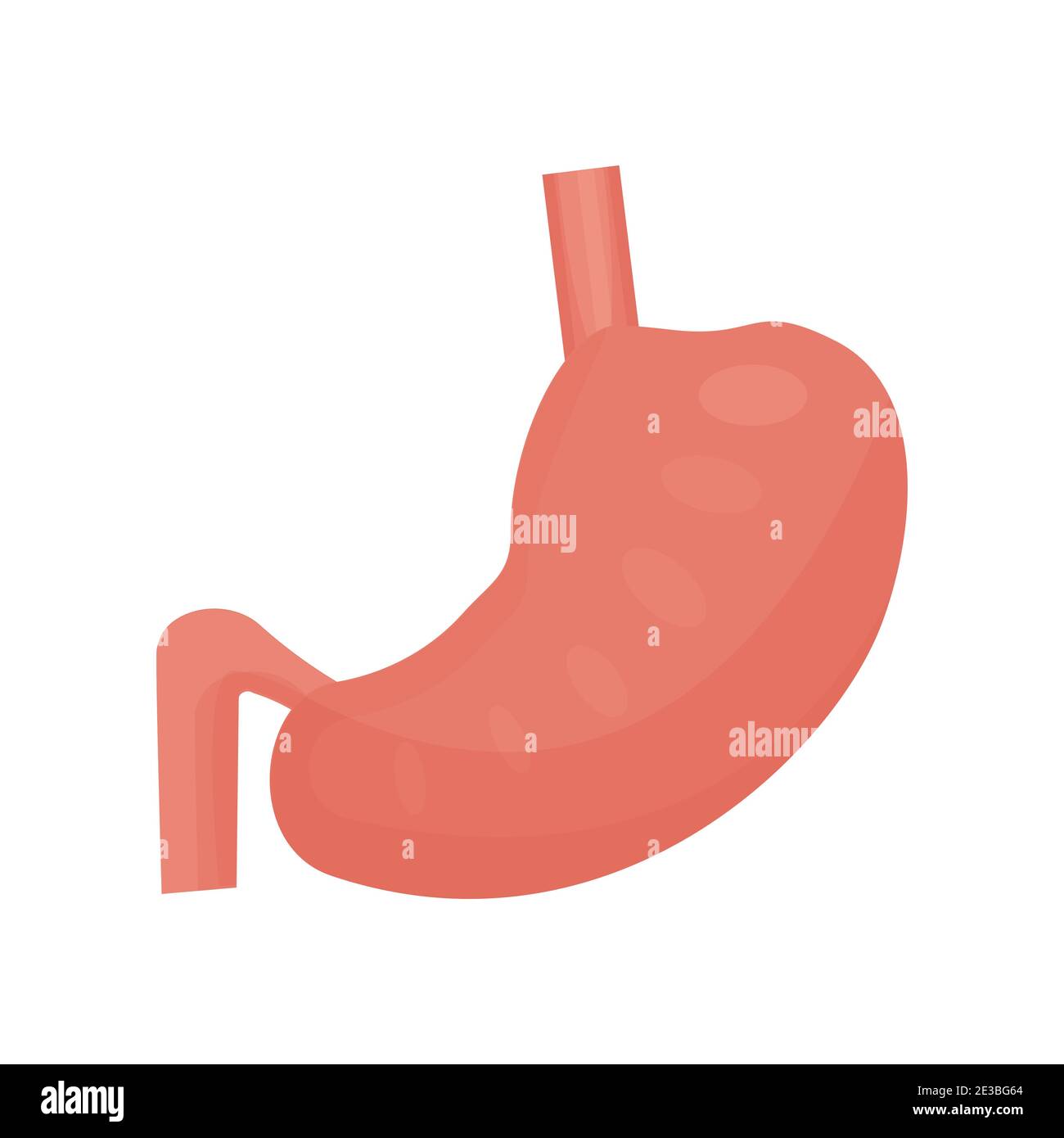 Human Stomach Clipart