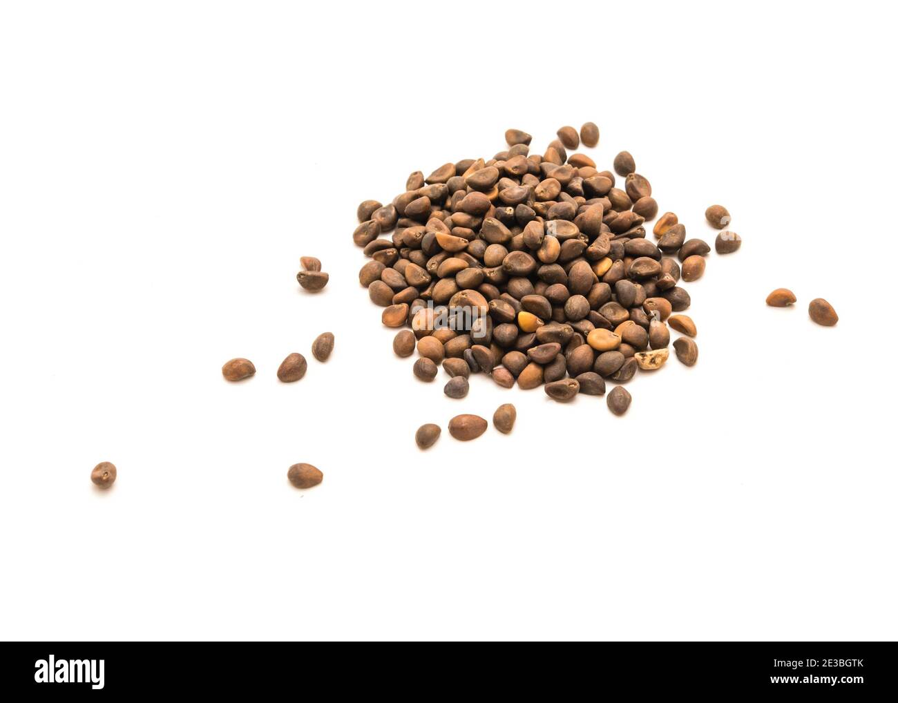 Kangkong or water spinach (Ipomoea aquatic) seeds isolated on white ...