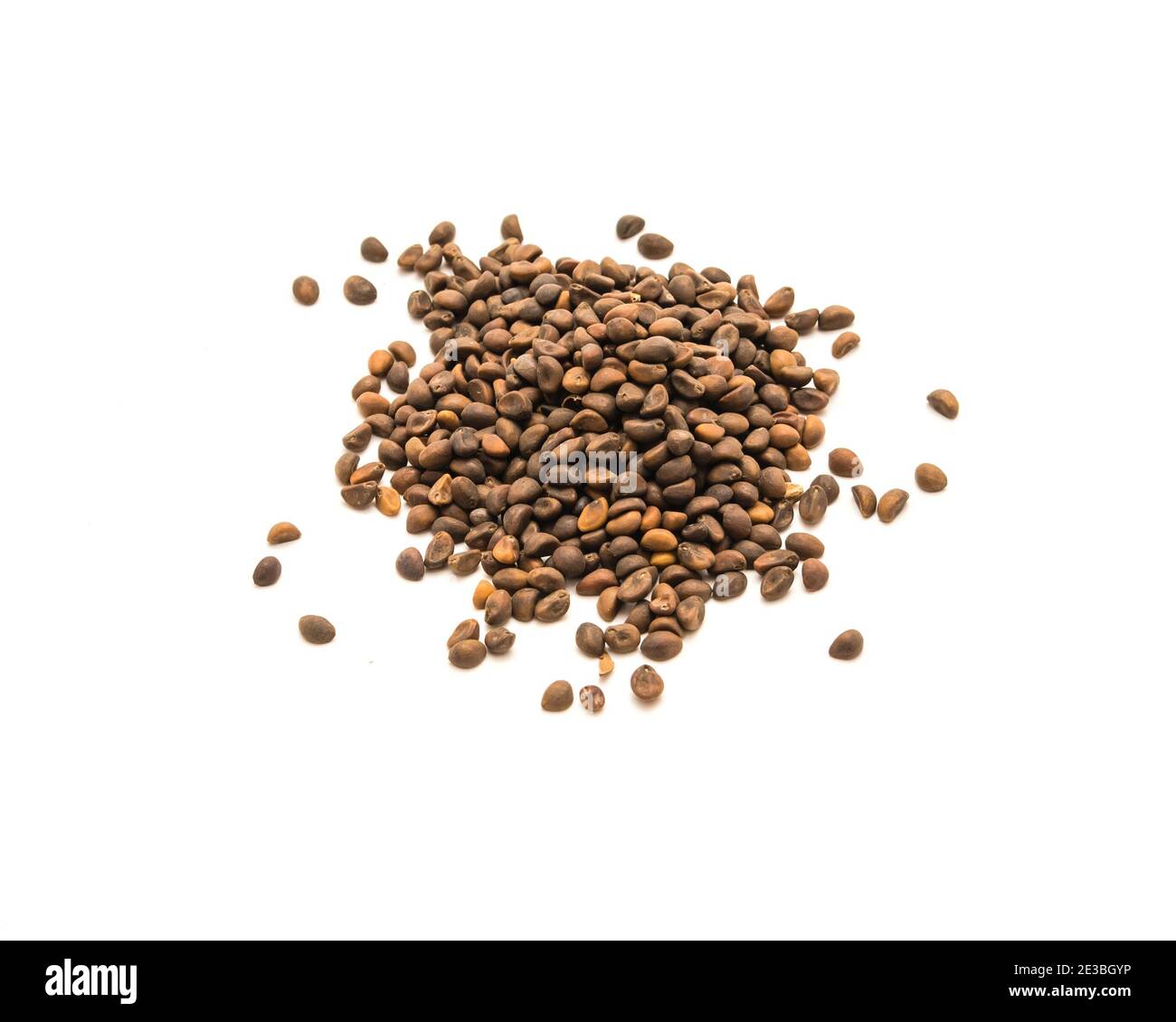 Kangkong or water spinach (Ipomoea aquatic) seeds isolated on white ...