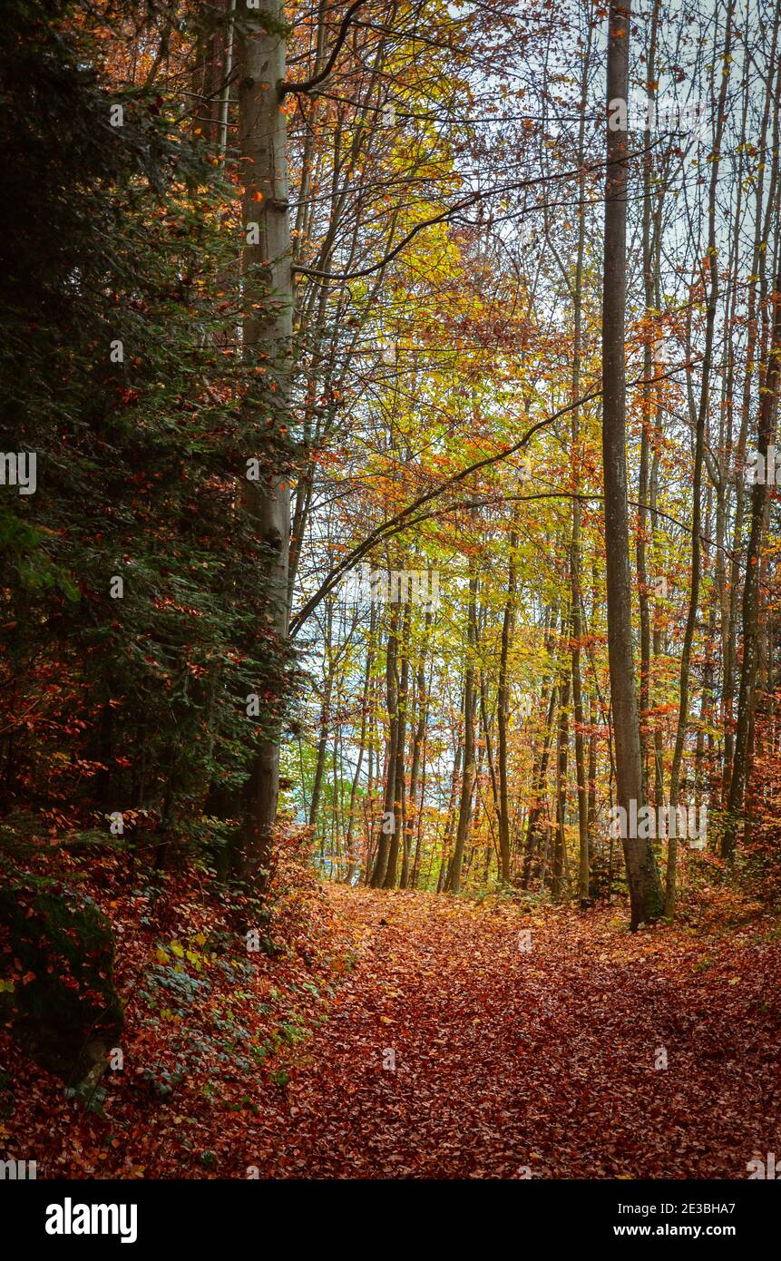Photos in colors hi-res stock photography and images - Alamy