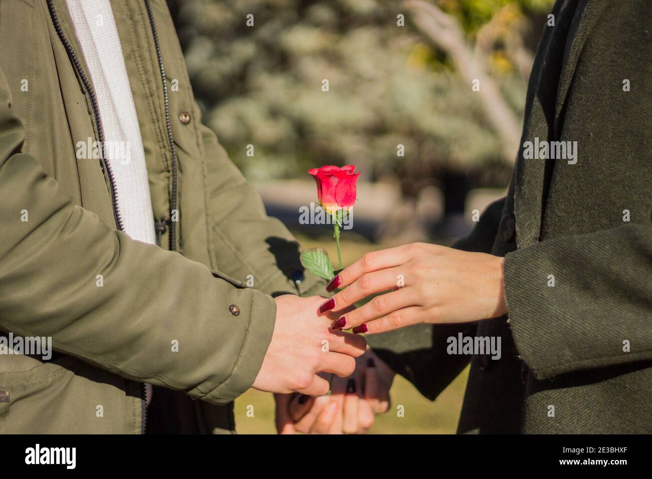 Rose lovers meeting hi-res stock photography and images - Alamy