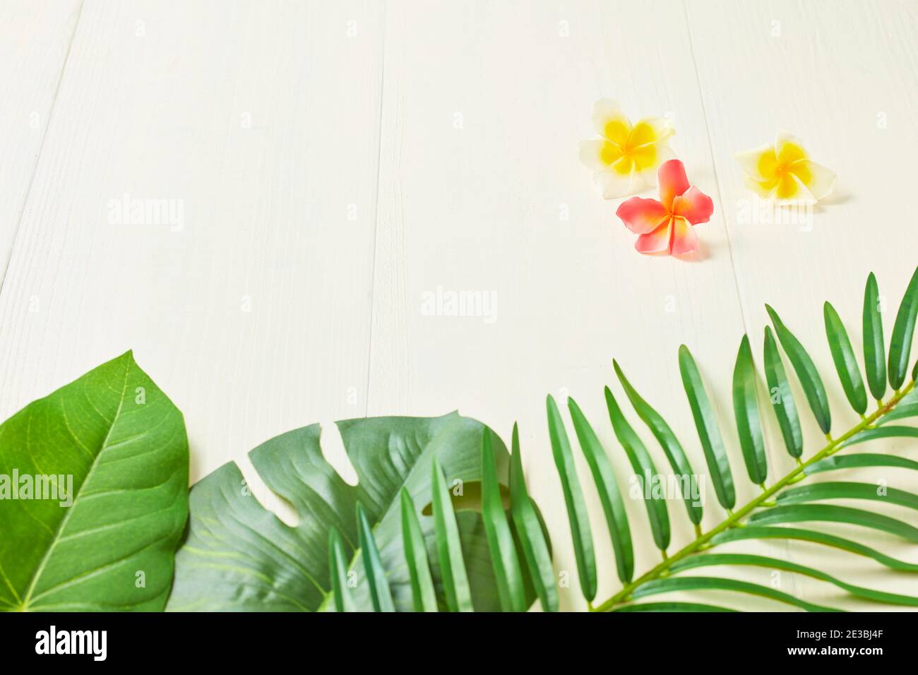 Summer still life Stock Photo - Alamy