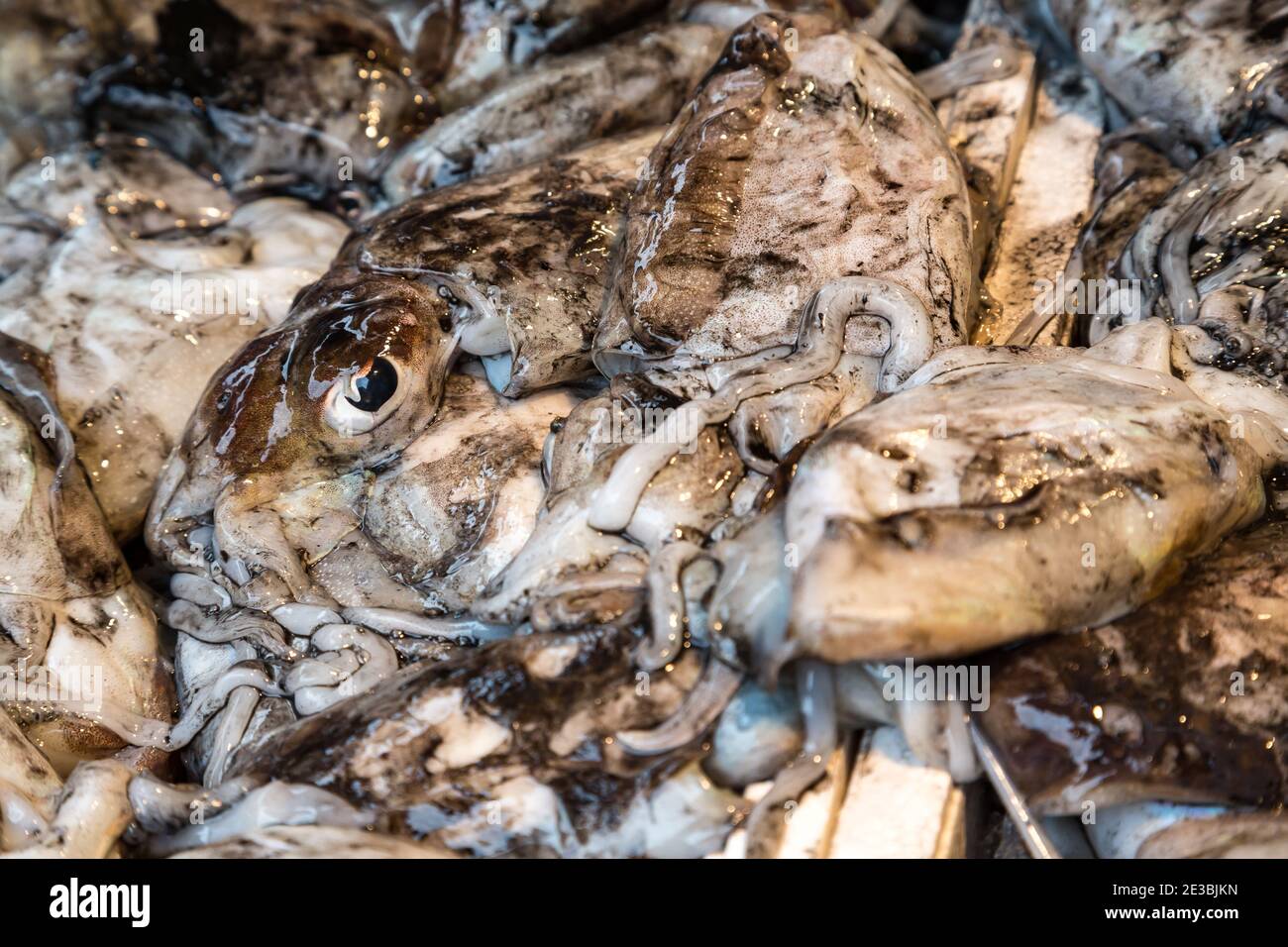 Venice fish market hi-res stock photography and images - Alamy