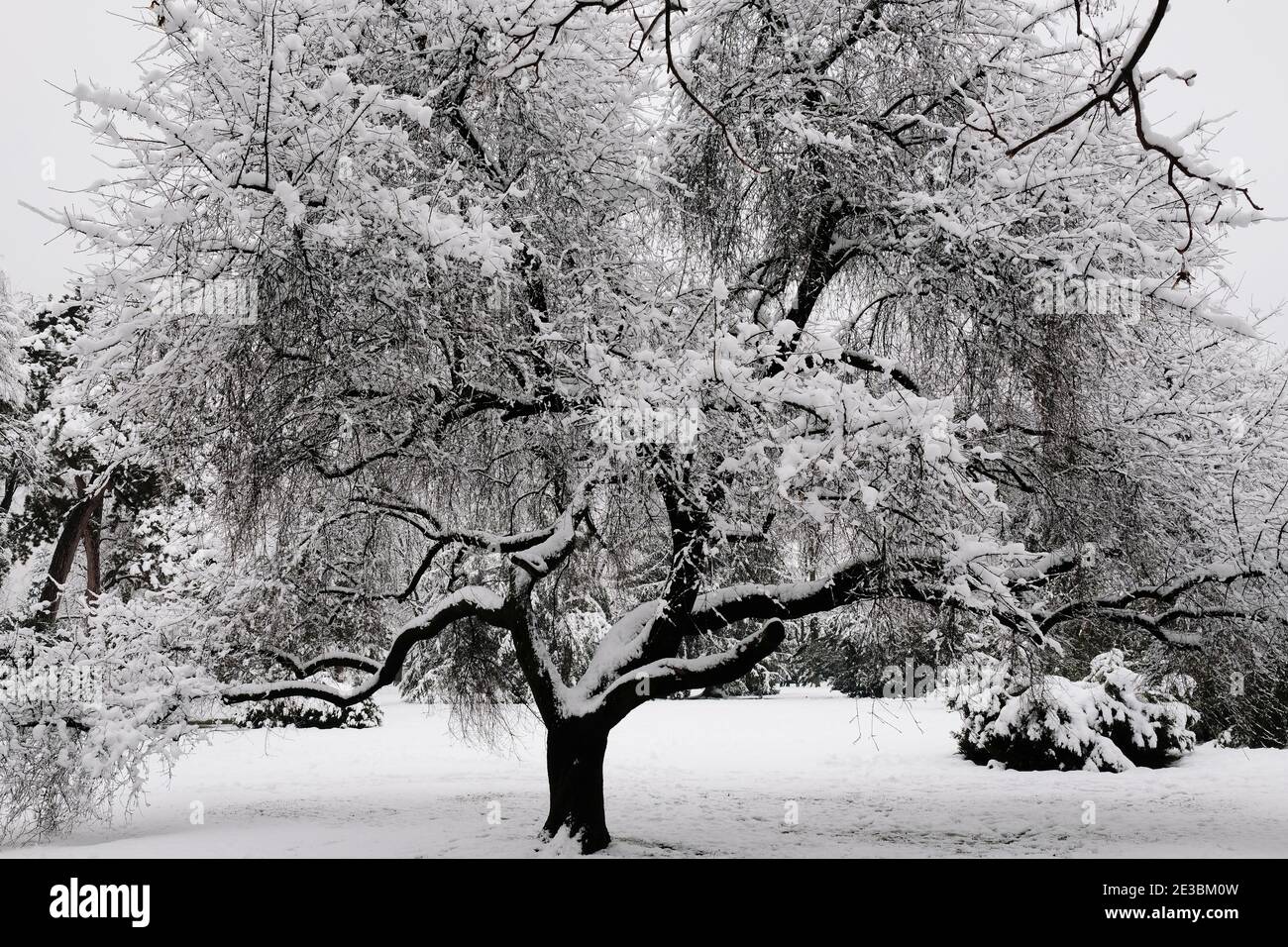 Kannenfeldpark basel hi-res stock photography and images - Alamy