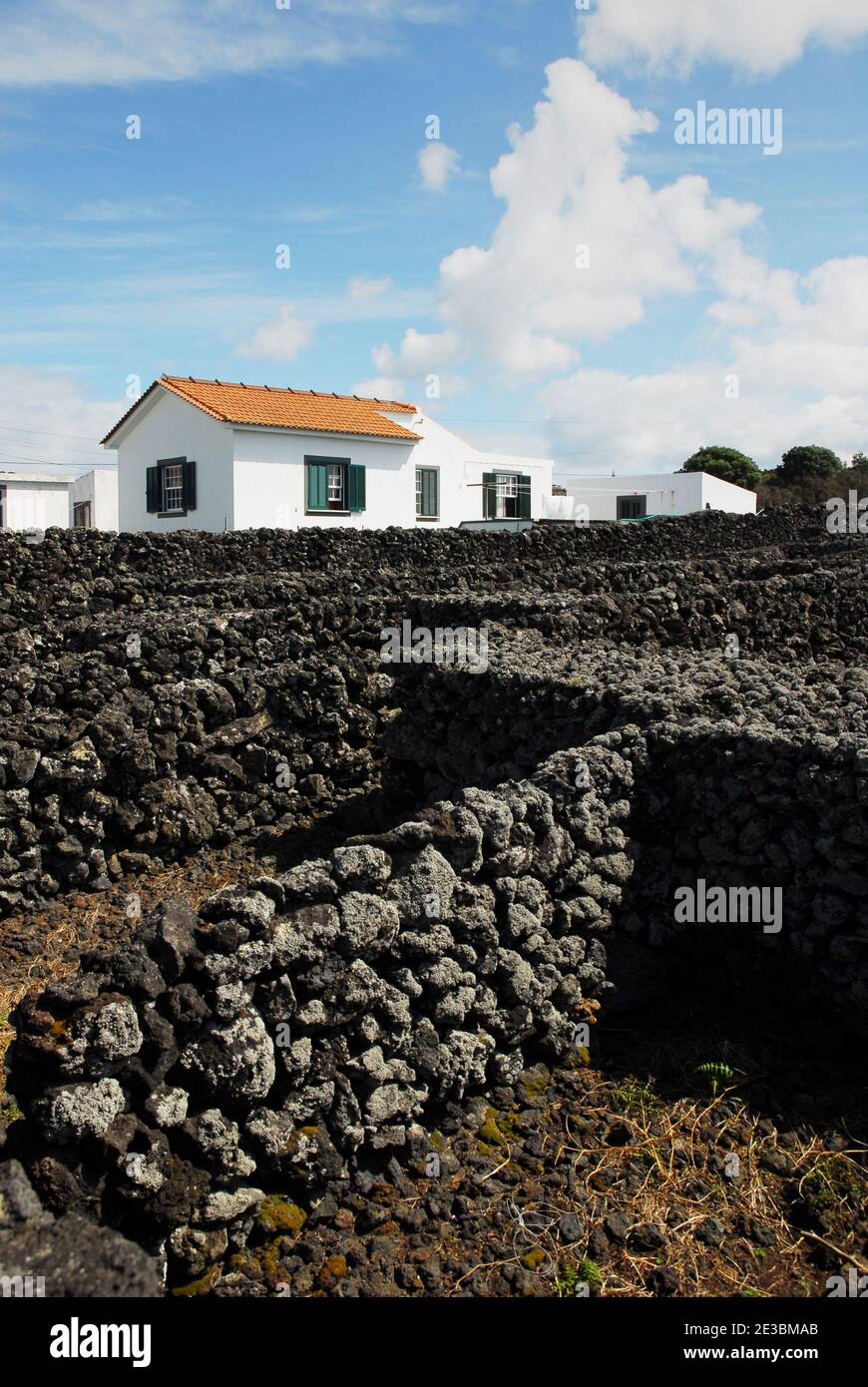 Portugal: Azores: Pico: Criacao Velha: Wine Growing: UNESCO World ...