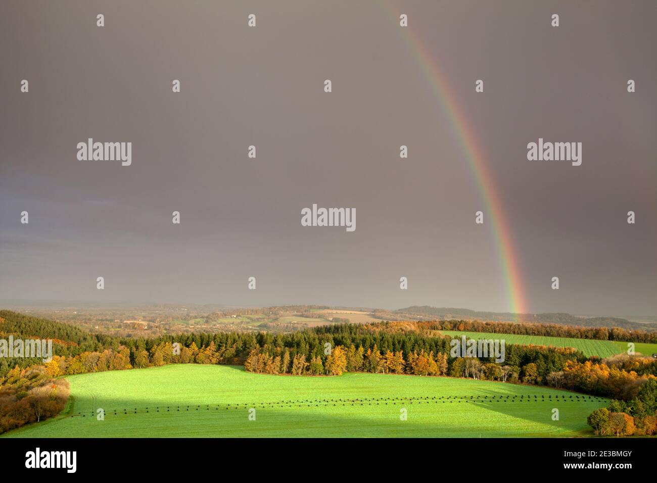 Donhead st andrew hi-res stock photography and images - Alamy