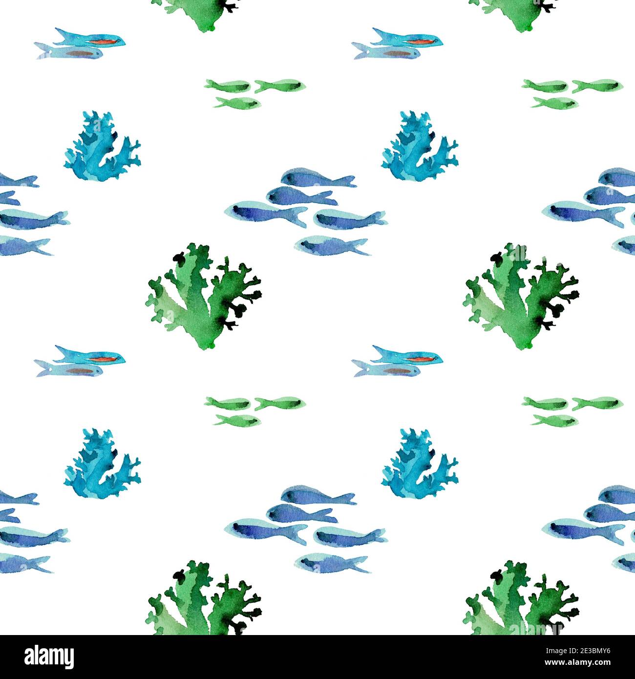 Tropical reef animals art hi-res stock photography and images - Alamy