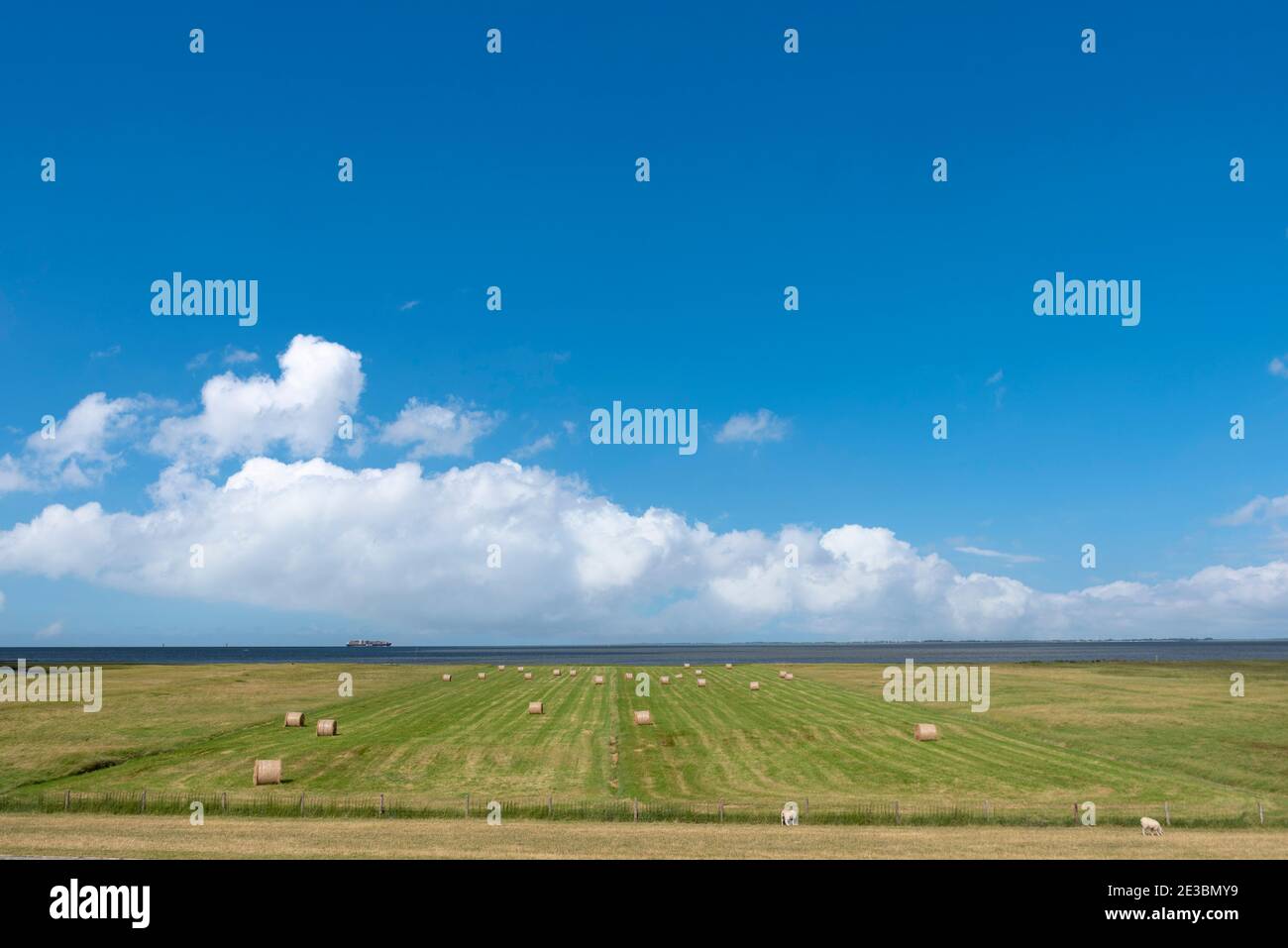 Freighter in the horizon hi-res stock photography and images - Alamy