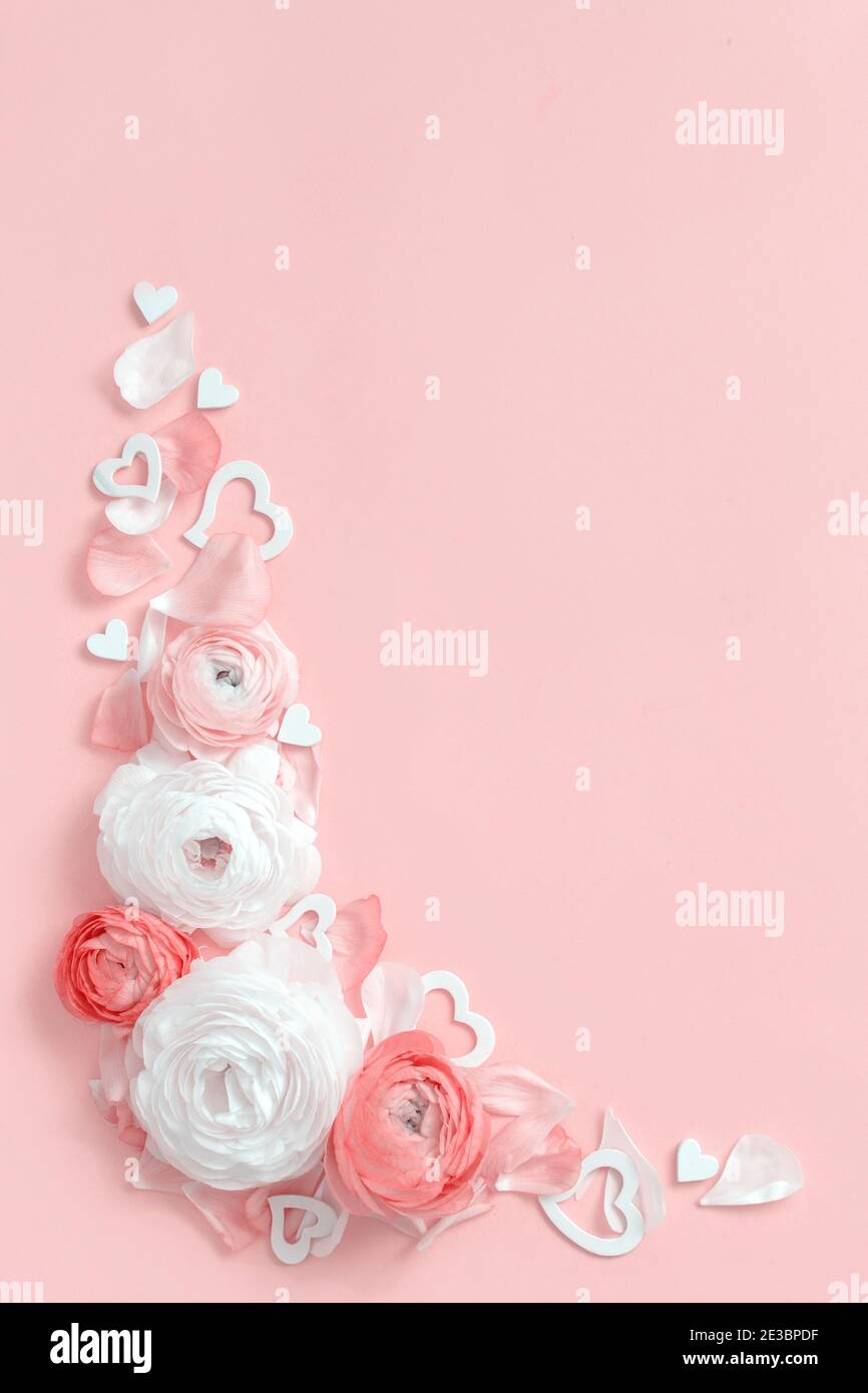 Angle frame made of ranunculus flowers, petals and hearts on a light ...