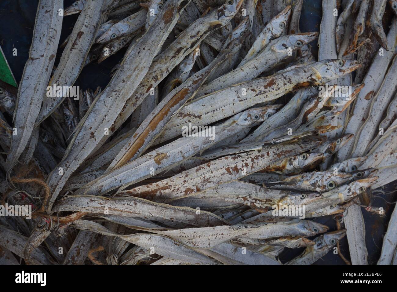 Sun-dried fish at Digha Mohana fish market at East Midnapore, West ...