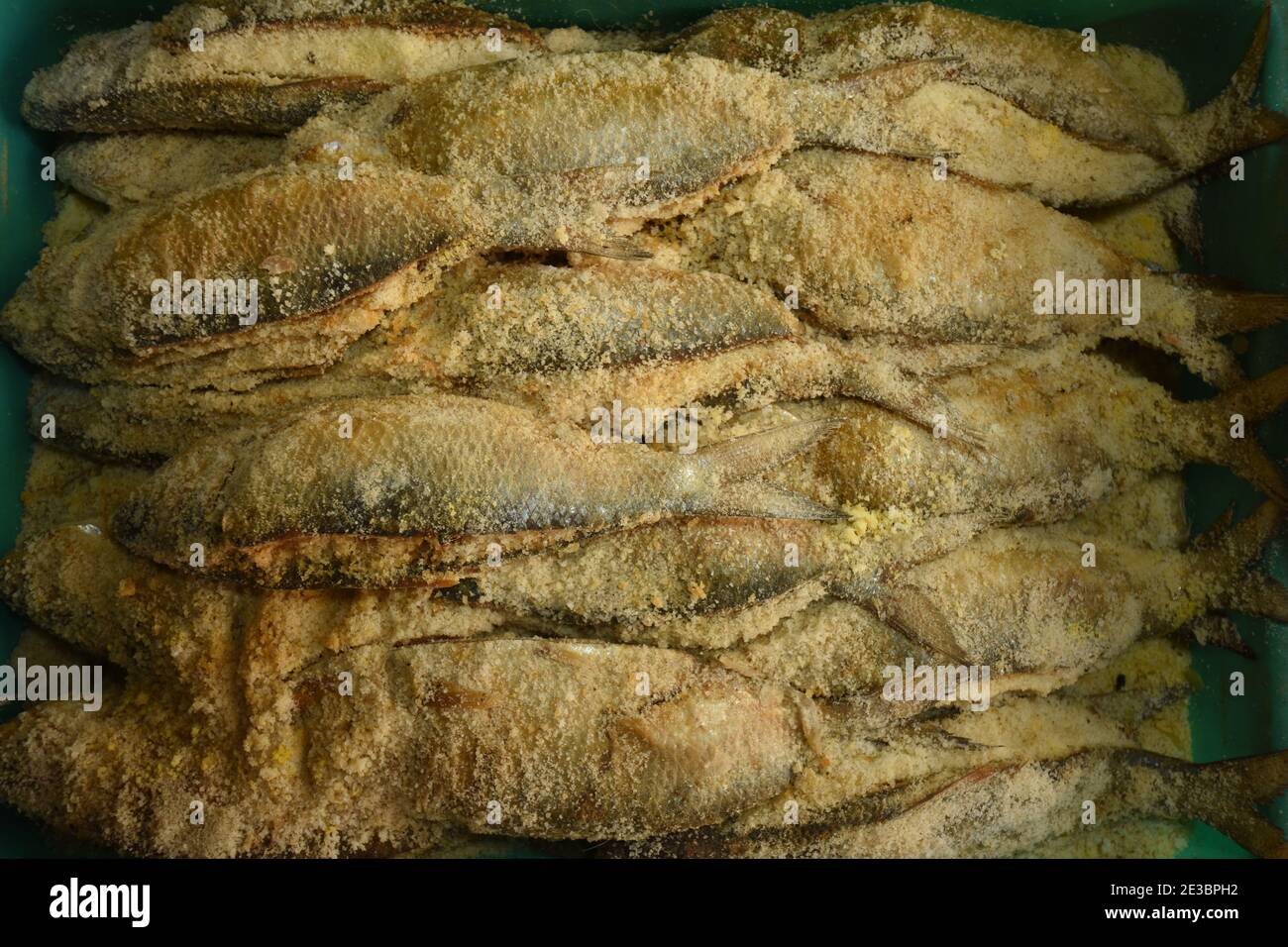 Tenualosa toli hi-res stock photography and images - Alamy