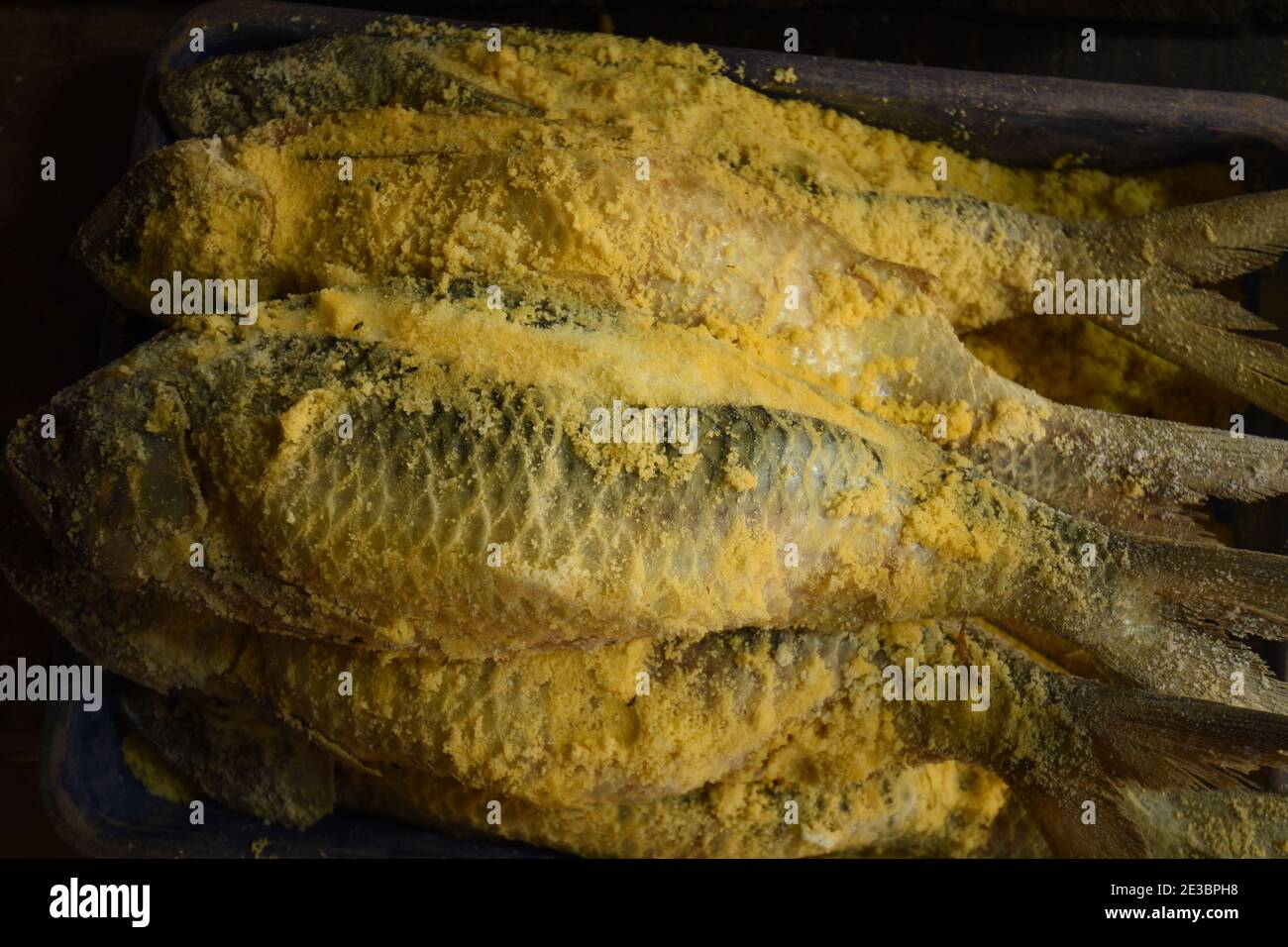 Salted fish at Digha Mohana fish market at East Midnapore, West Bengal ...