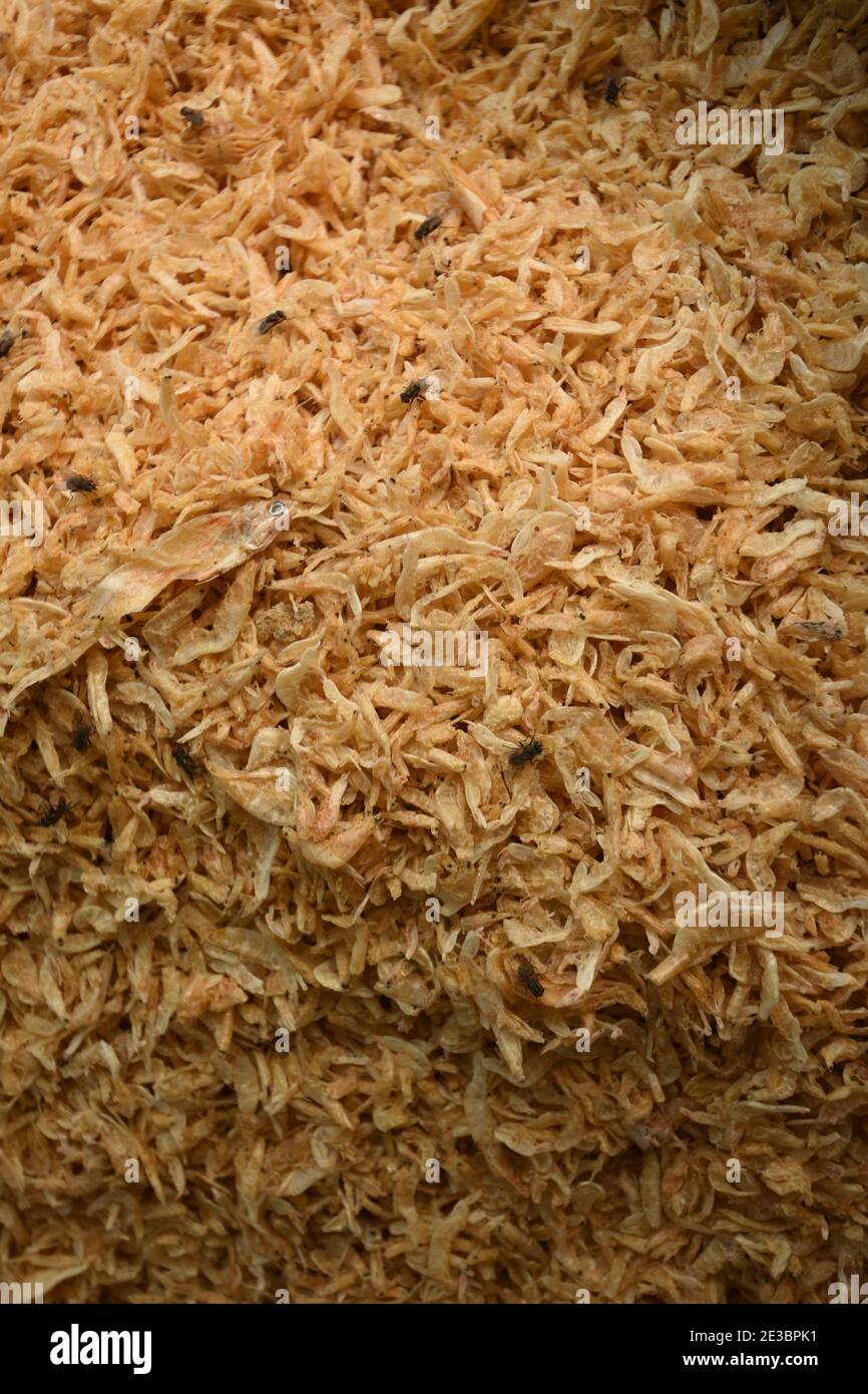 Sun-dried prawn at Digha Mohana fish market at East Midnapore, West ...