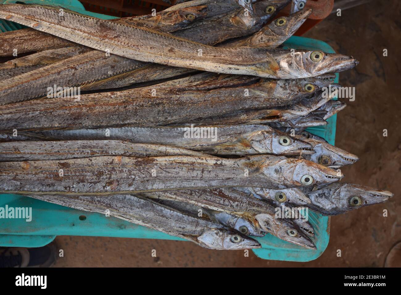 Sun-dried fish at Digha Mohana fish market at East Midnapore, West ...