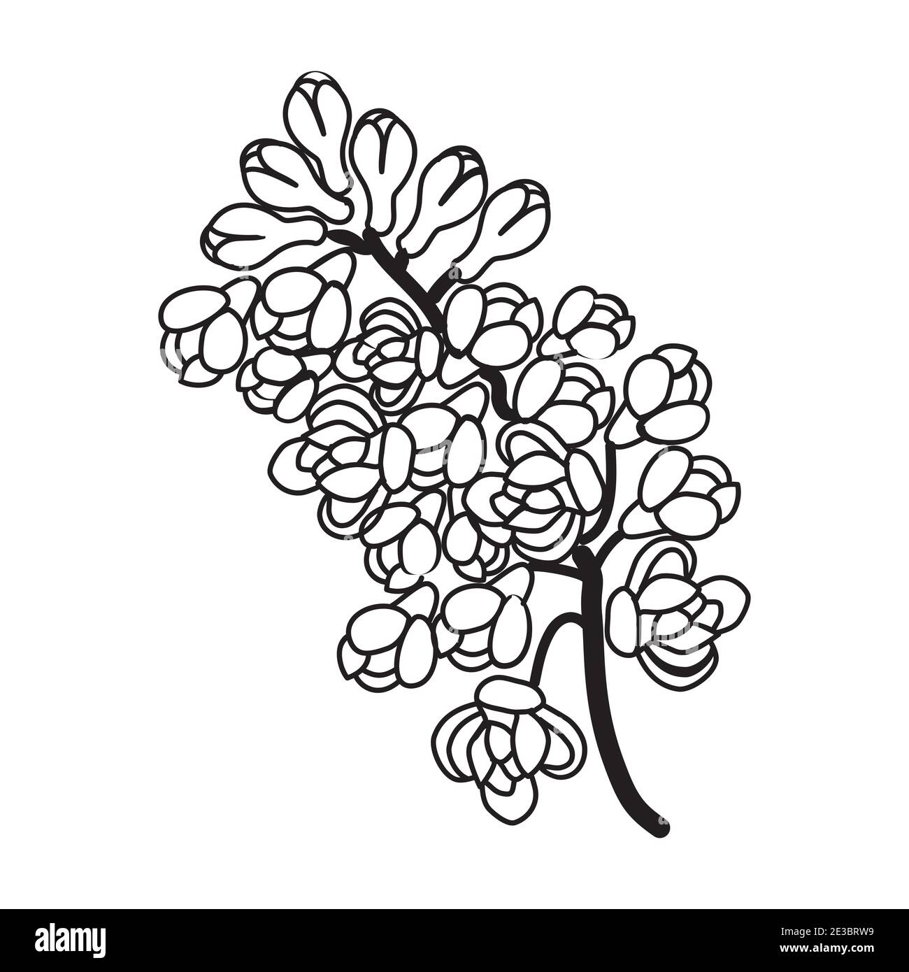 Cluster Floral Hand Drawn. Vector Design Illustration Sign Logo Stock ...