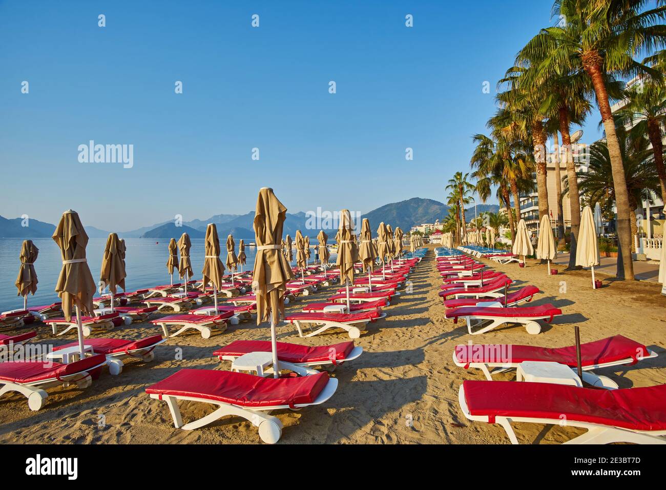 sandy beach without people and with sun loungers, umbrellas, palm trees ...