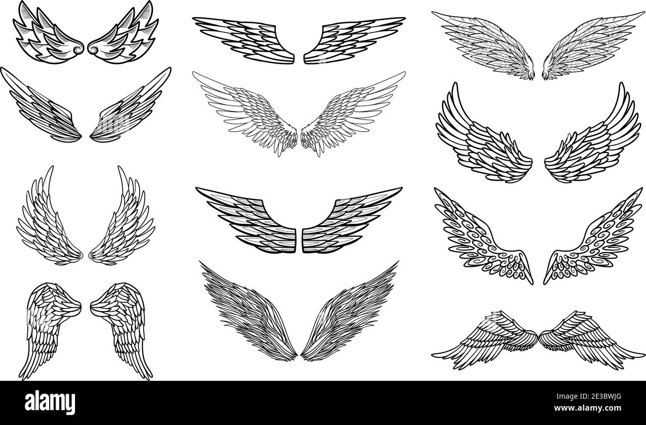 Bird Wings Design