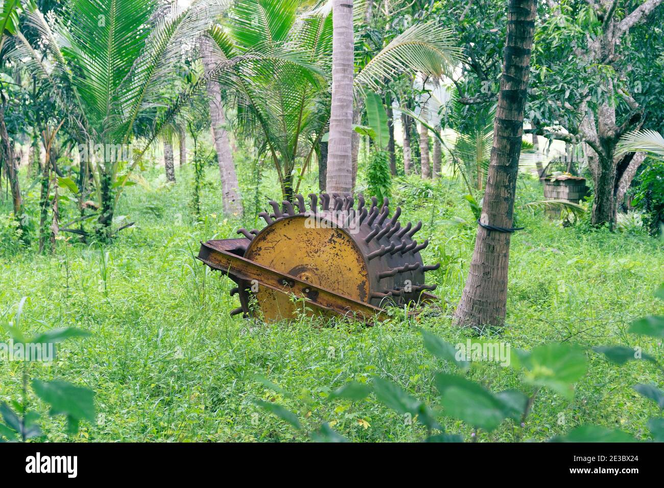 Old rice farming equipment hi-res stock photography and images - Alamy