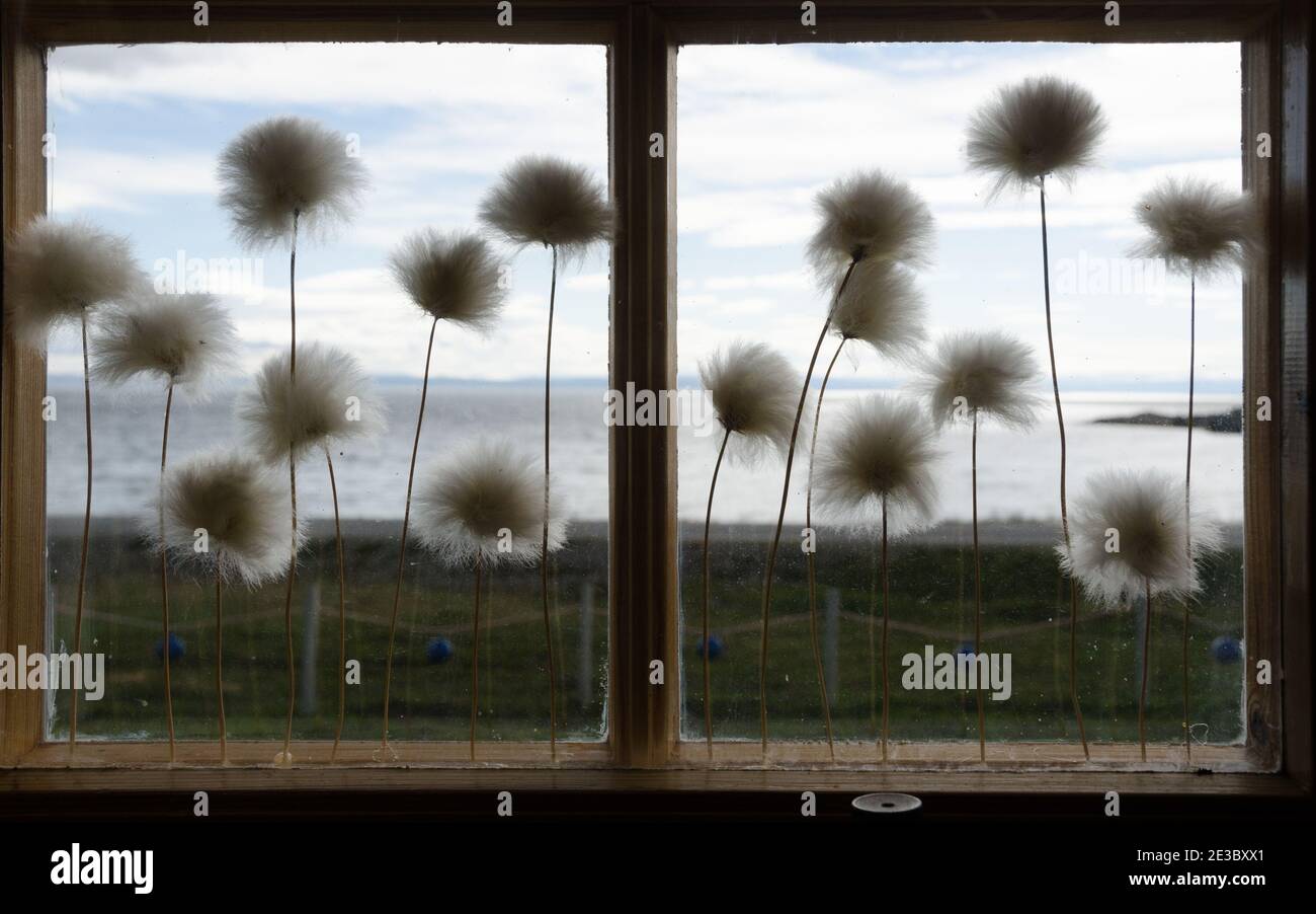 Northern sea view through the window in Porsangerfjorden, Norway Stock ...
