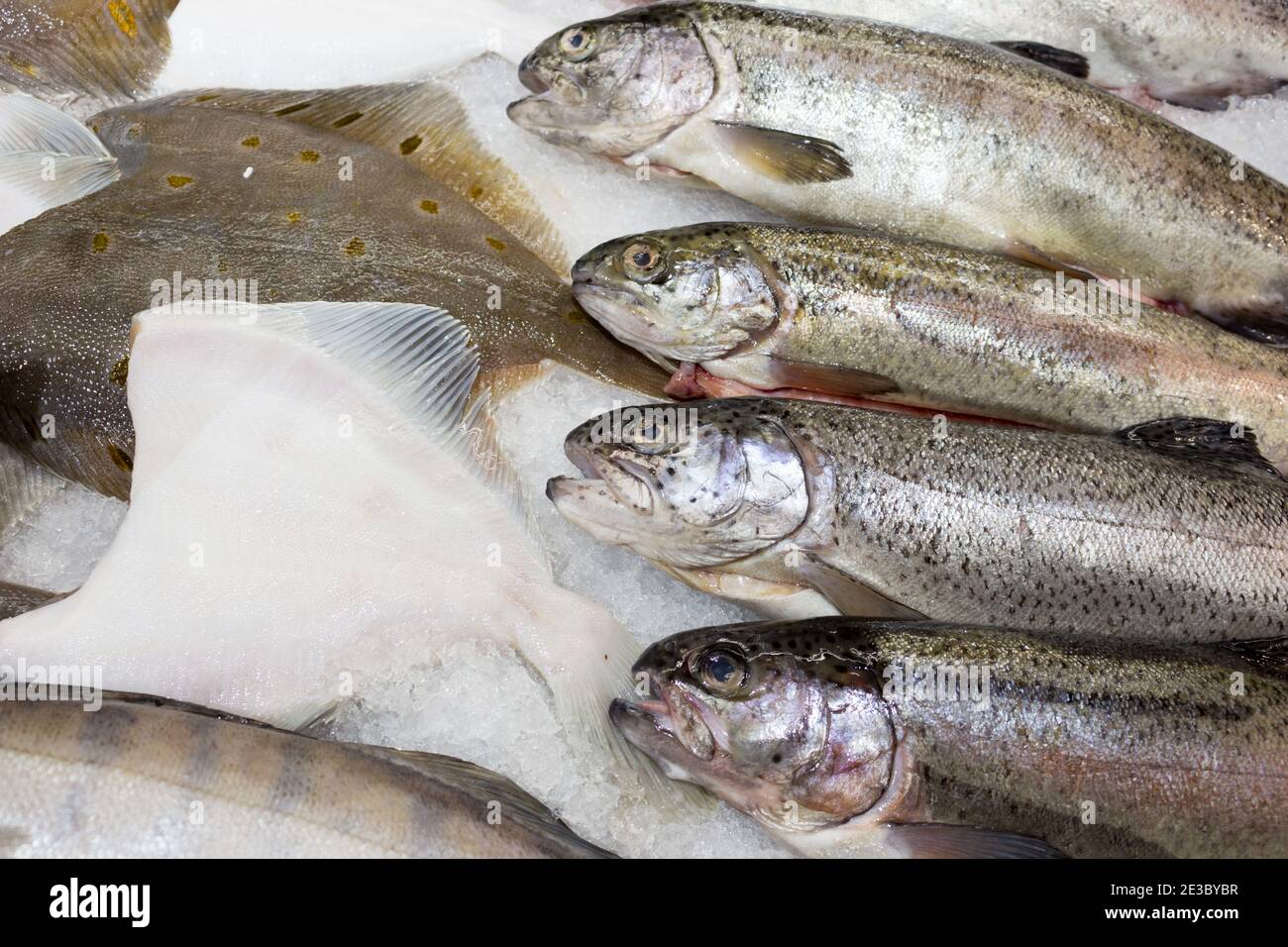 Gilt animal substrate hi-res stock photography and images - Alamy