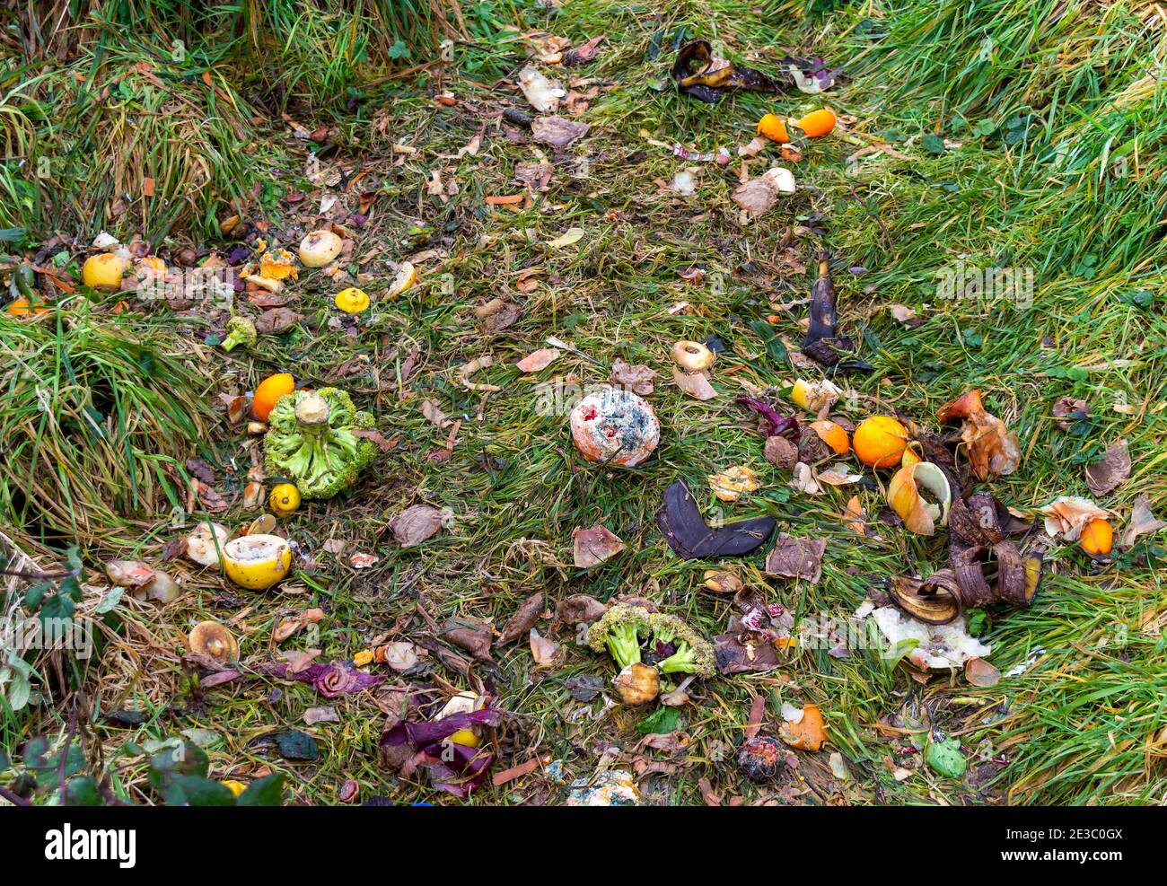 Rotten vegetables hi-res stock photography and images - Alamy