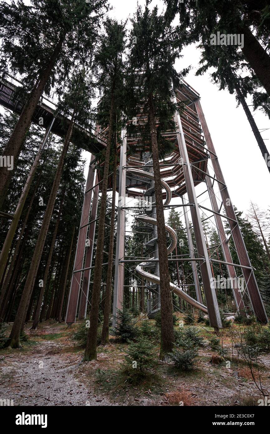 Treetop walkway tower in Lipno nad Vltavou (stezka korunami stromu ...