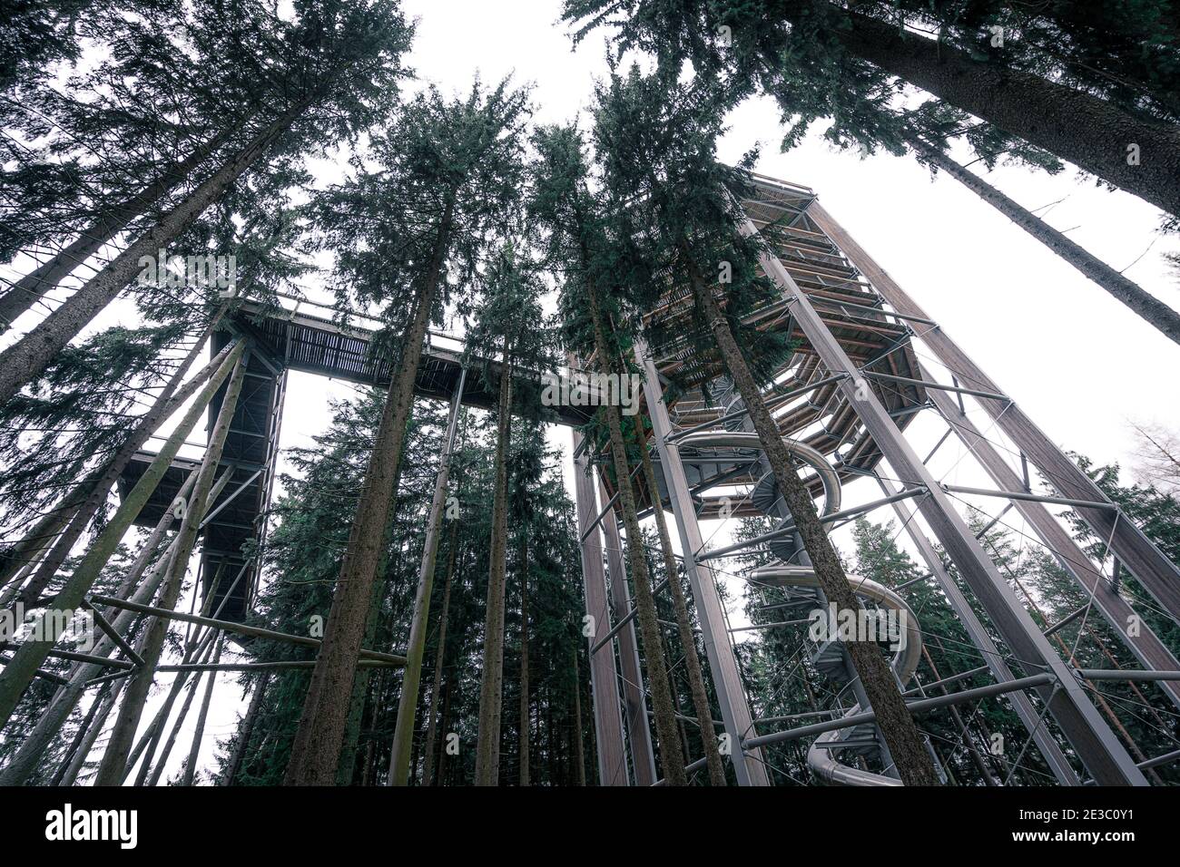 Treetop walkway tower in Lipno nad Vltavou (stezka korunami stromu ...