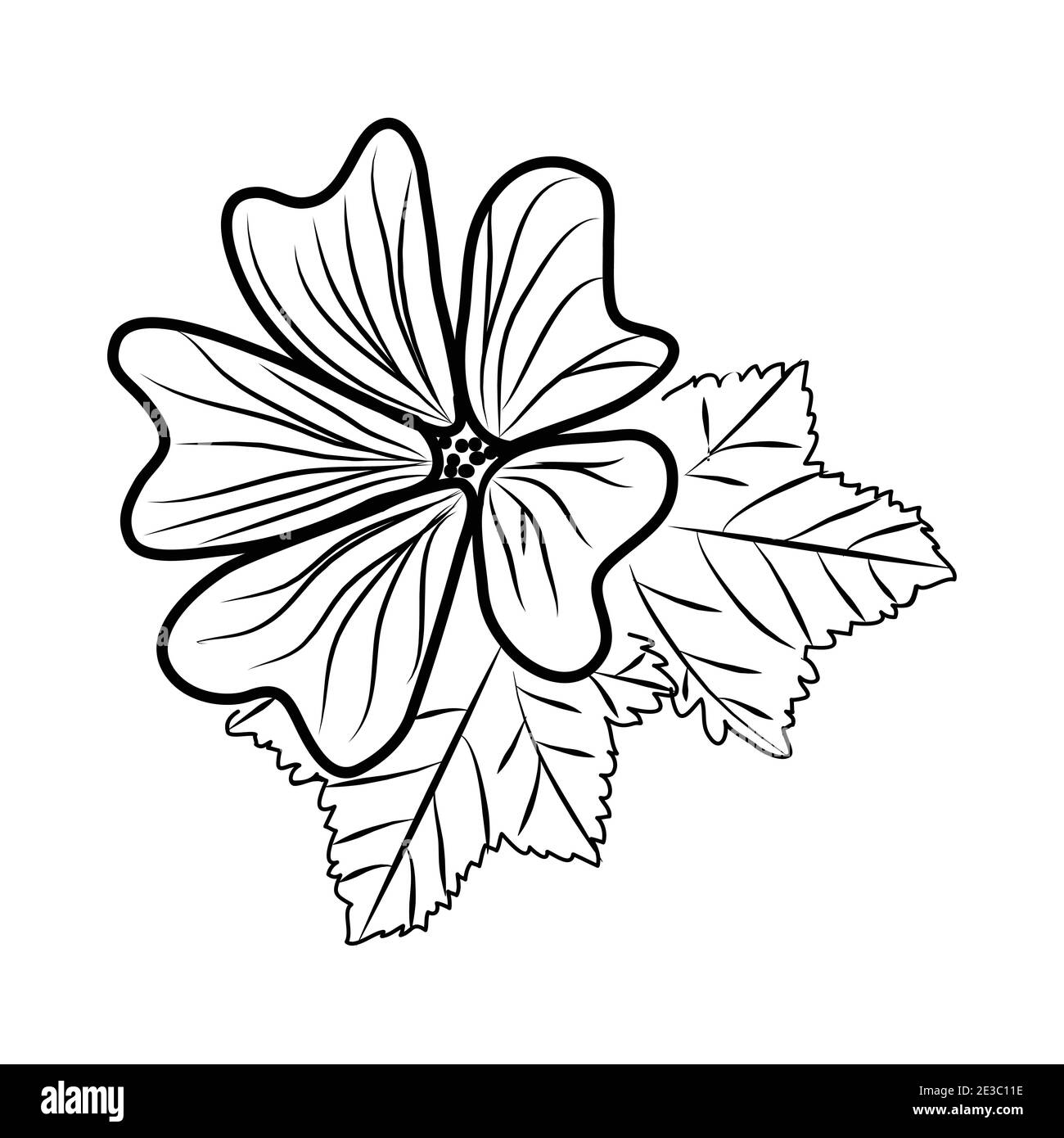 Purple Mallow Flower Floral Hand Drawn. Vector Design Illustration Sign ...